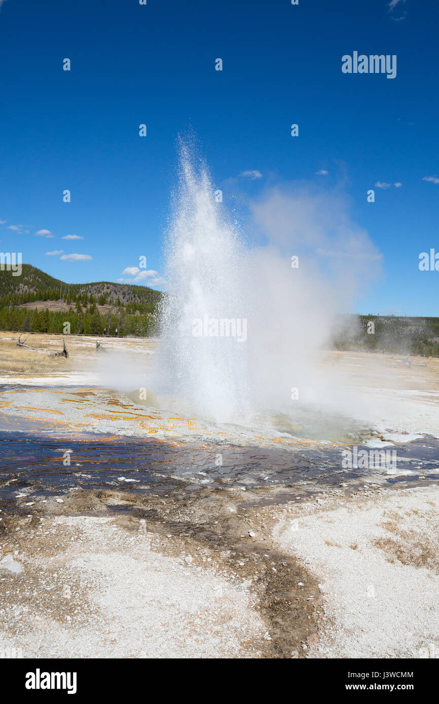 Jewel geyser eruption in the Yellowstone national park, USA Stock Photo ...