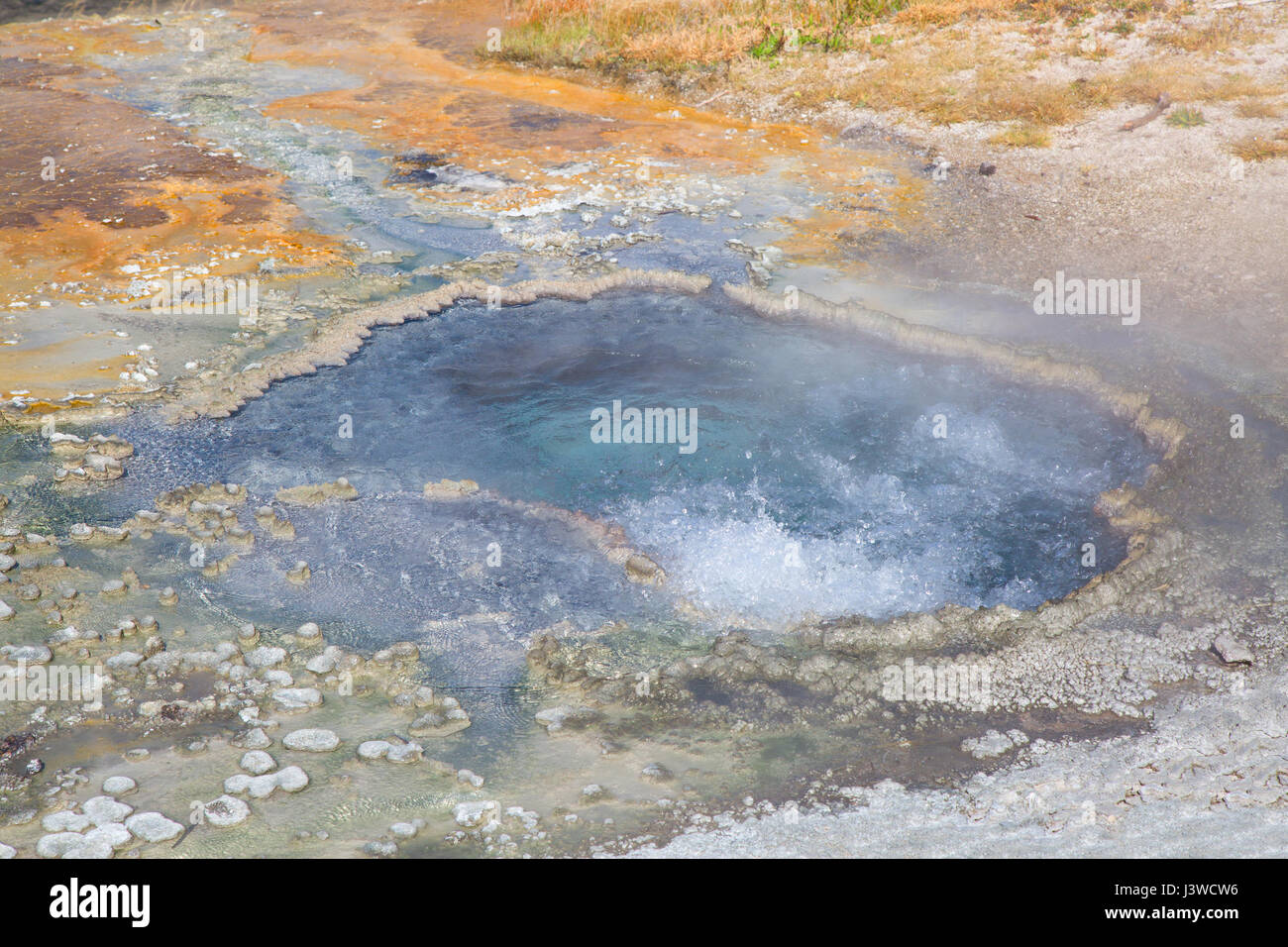Colorful hot water pool in the Yellowstone National park, USA Stock ...