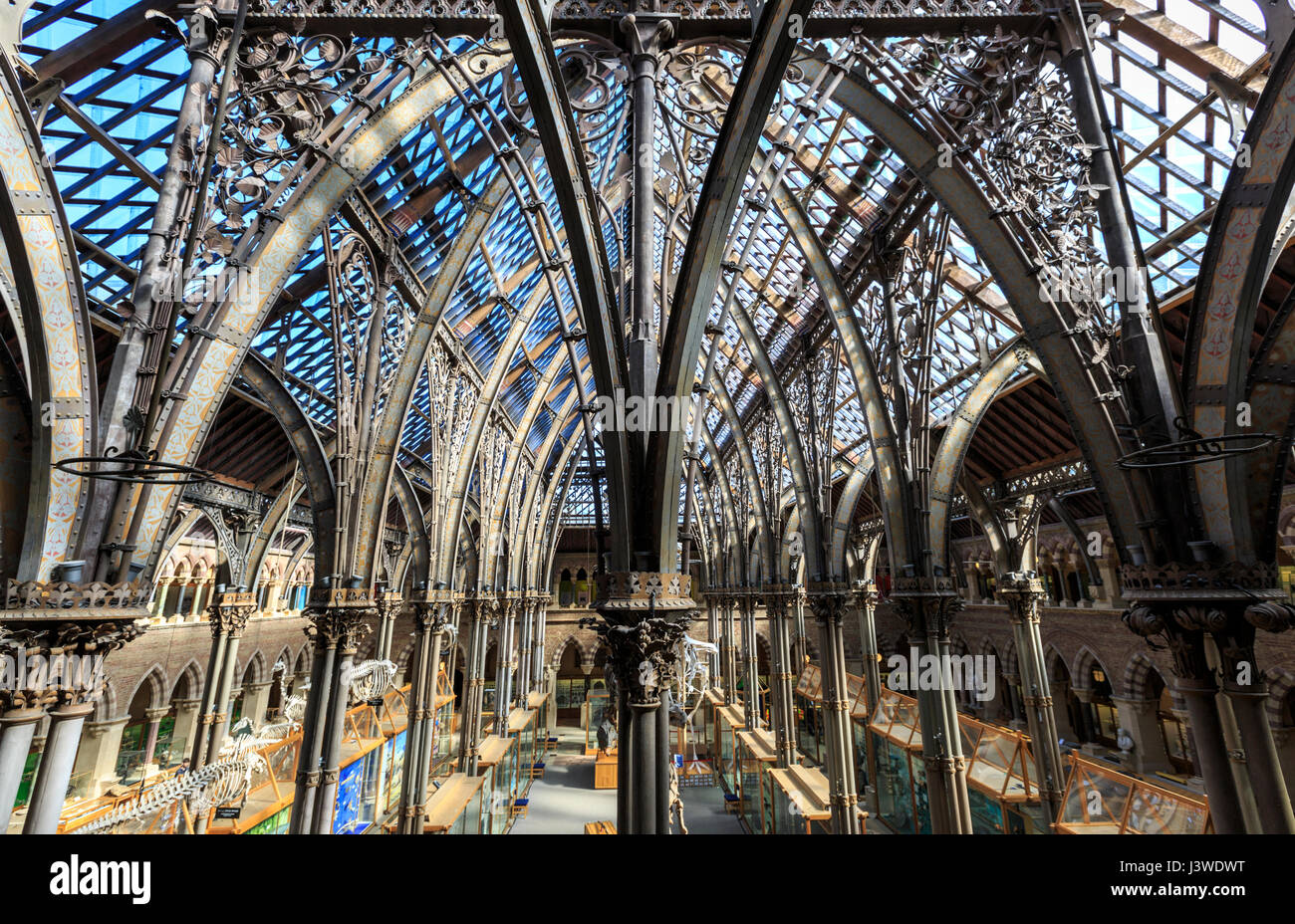 The interior metal arches of the Natural History Museum, Oxford ...