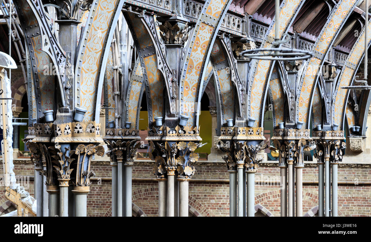 The interior decorated metal arches of the Natural History Museum ...