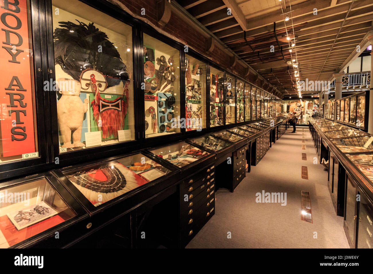 Anthropological anthropology england uk hi-res stock photography and ...