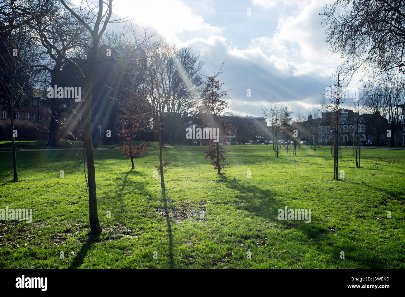 View across Well Street Common in Hackney, London Stock Photo - Alamy