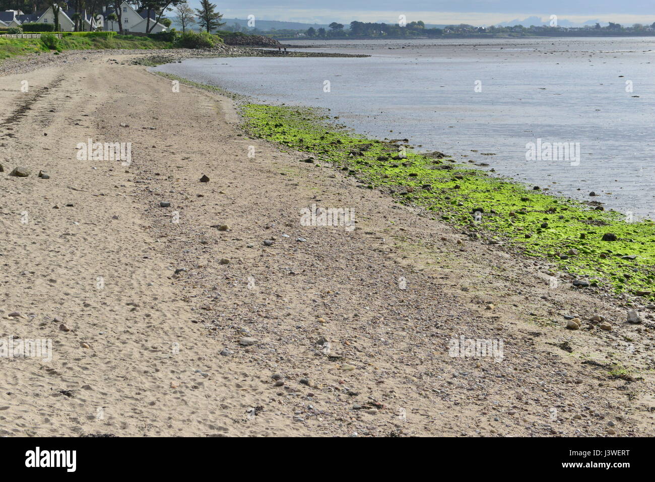 The beach at Dungarvan in Ireland in springtime Stock Photo - Alamy