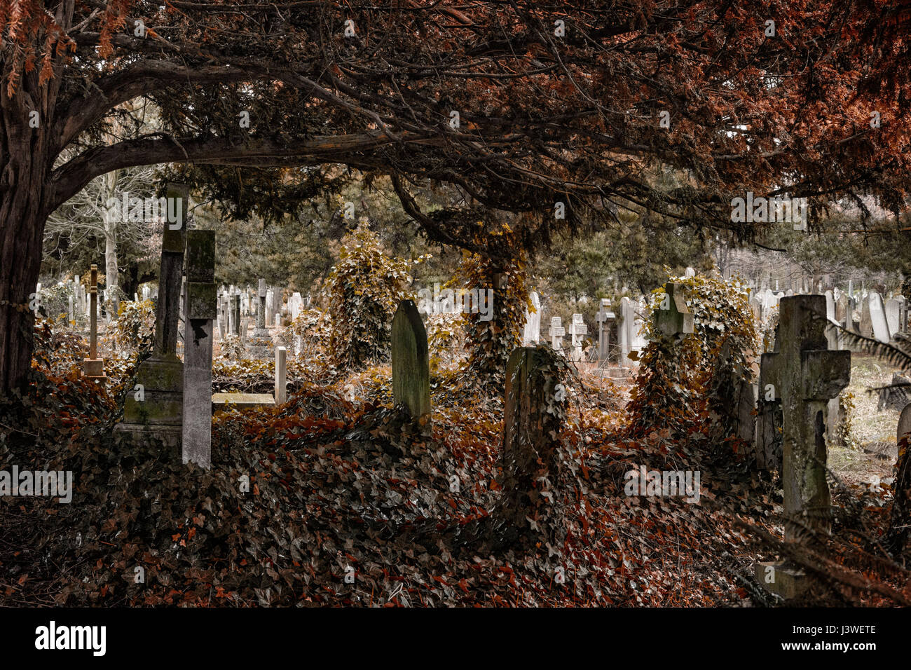 Old forgotten cemetery abandoned graves hi-res stock photography and ...