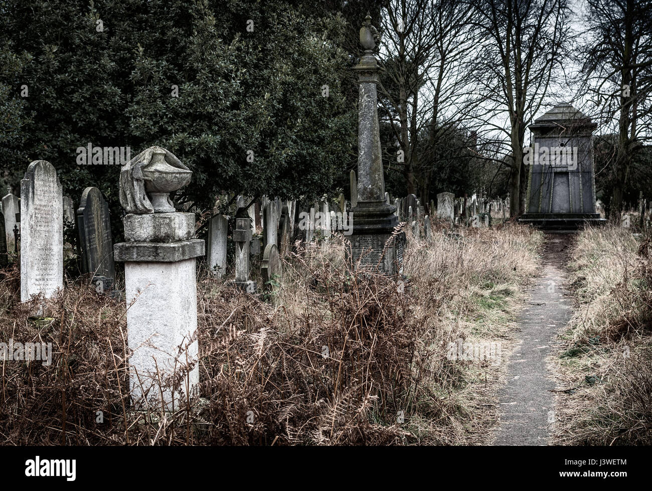 Creepy Old Graveyard