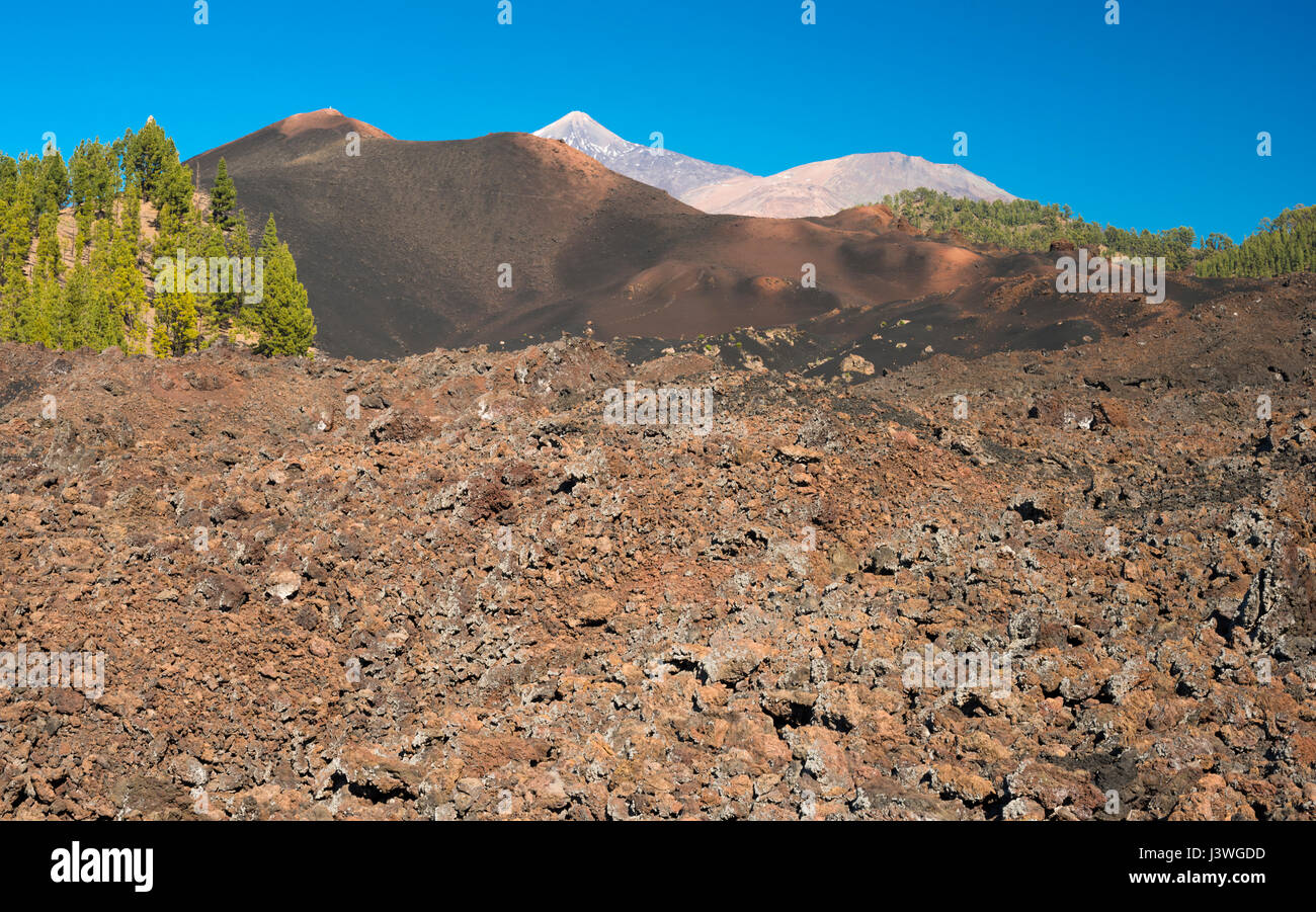 A section of the 1909 aa lava flow of Montana de Chinyero, the most ...