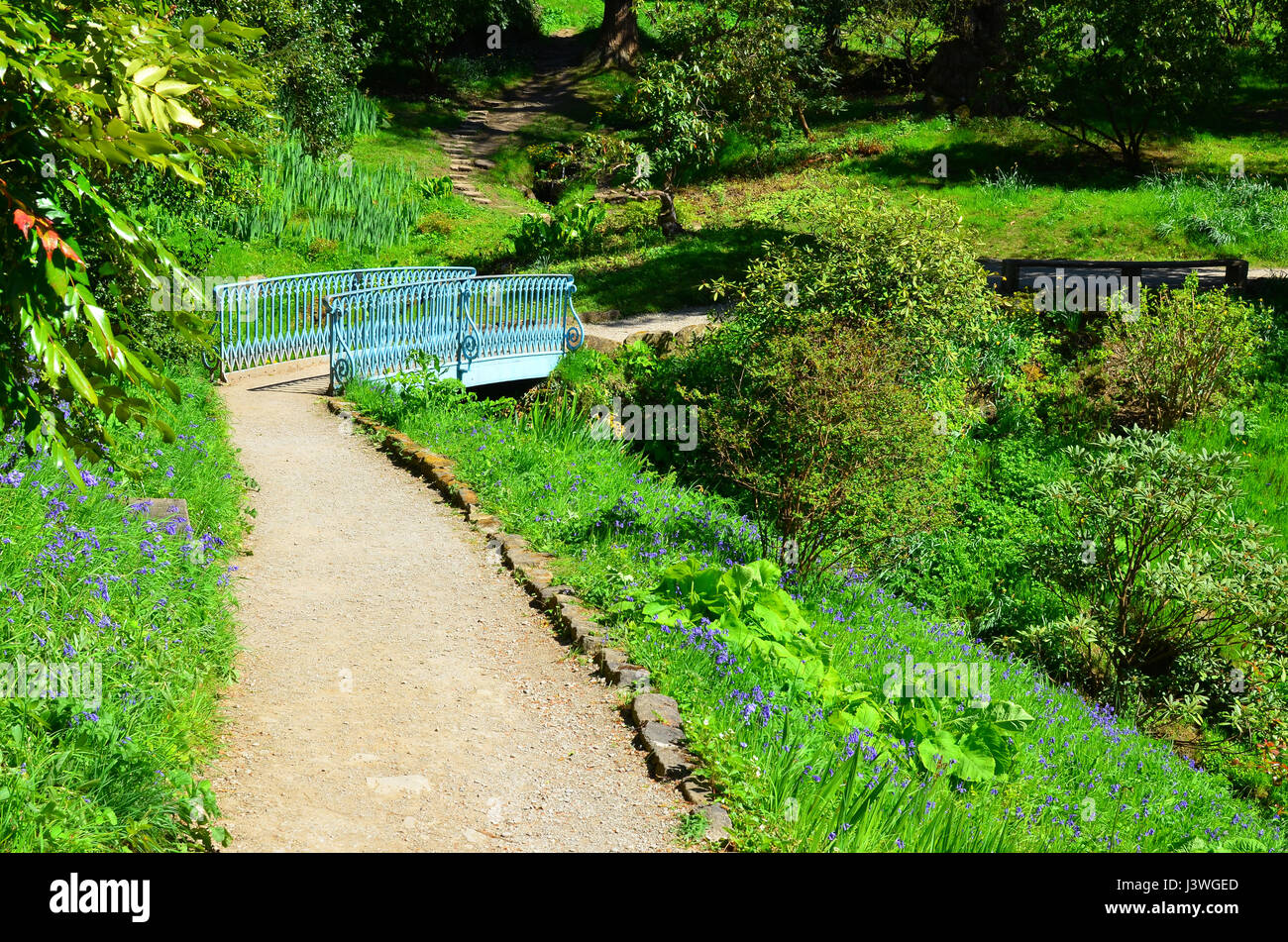 Blue Footbridge in the gardens of Chatsworth House, Chatsworth, near ...