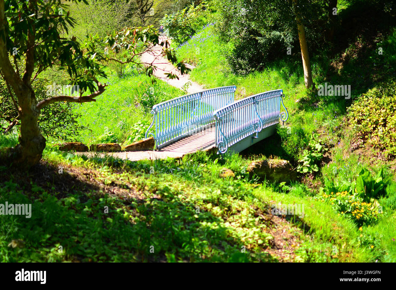 Blue Footbridge in the gardens of Chatsworth House, Chatsworth, near ...