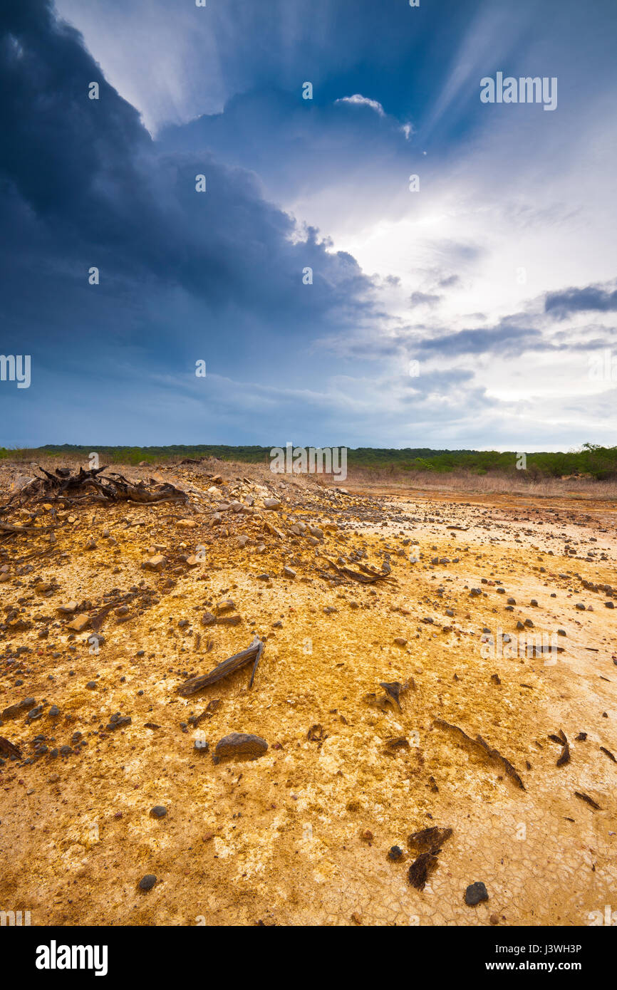 Panama landscape in the desrt of Sarigua National Park, Herrera ...