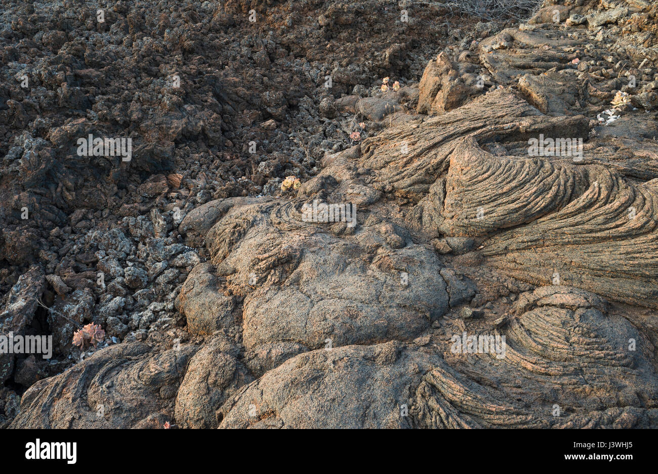 Basaltic lava flows with pahoehoe or ropy textures at Tacoron on the ...
