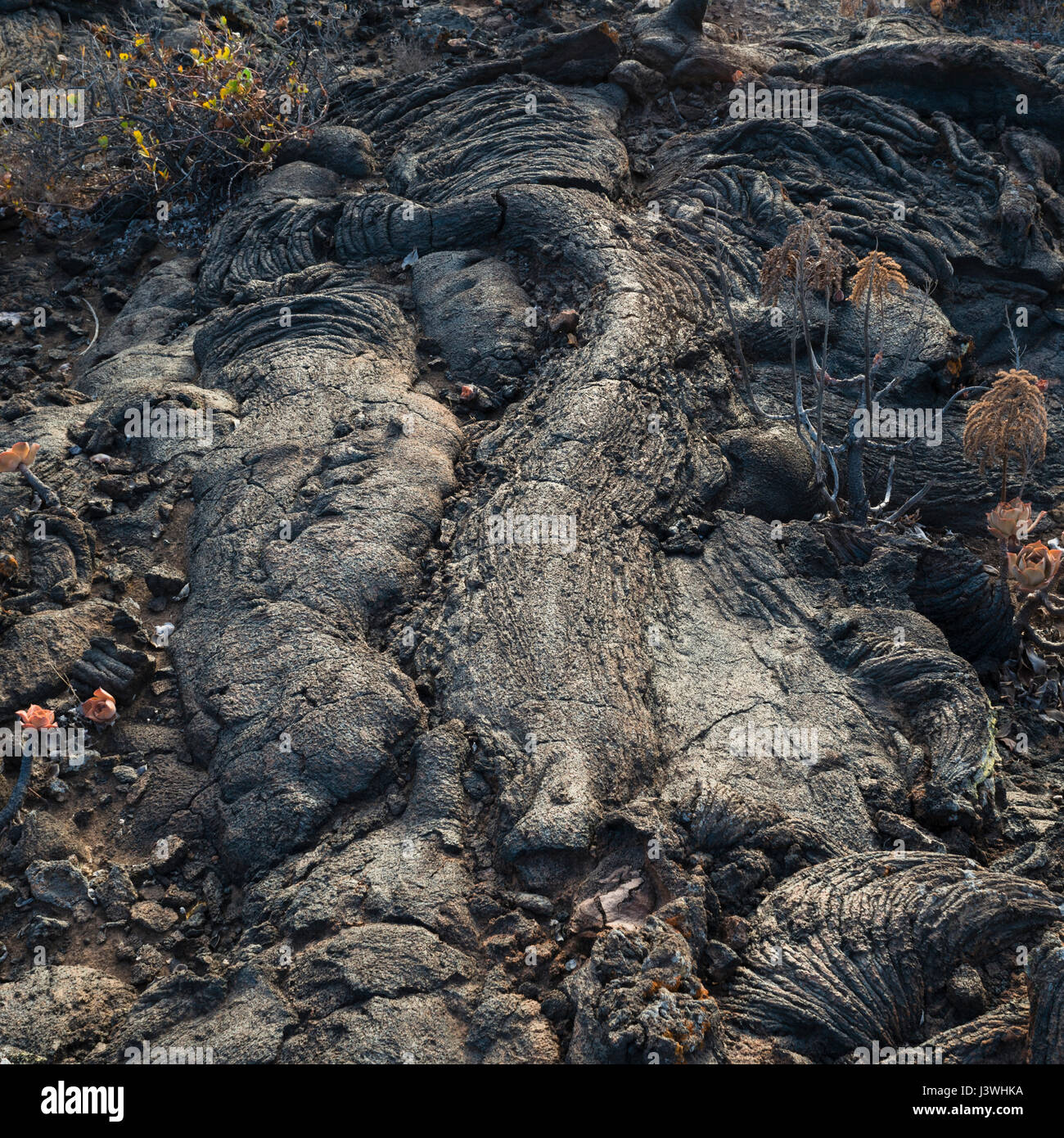 Basaltic lava flows with pahoehoe or ropy textures at Tacoron on the ...
