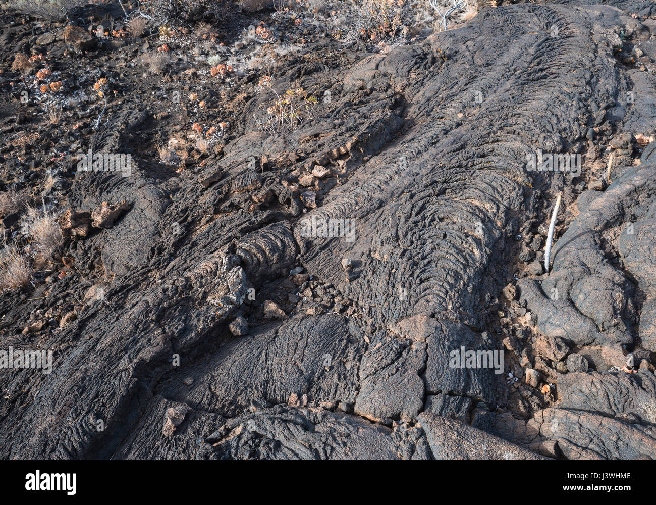 Pahoehoe basaltic lava hi-res stock photography and images - Alamy
