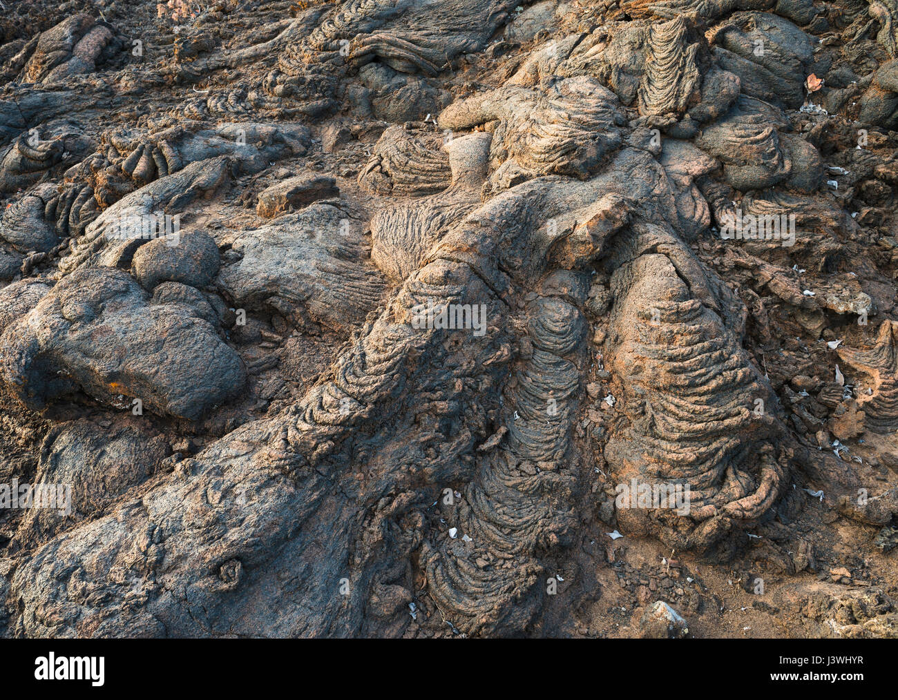 Ropy texture hi-res stock photography and images - Alamy
