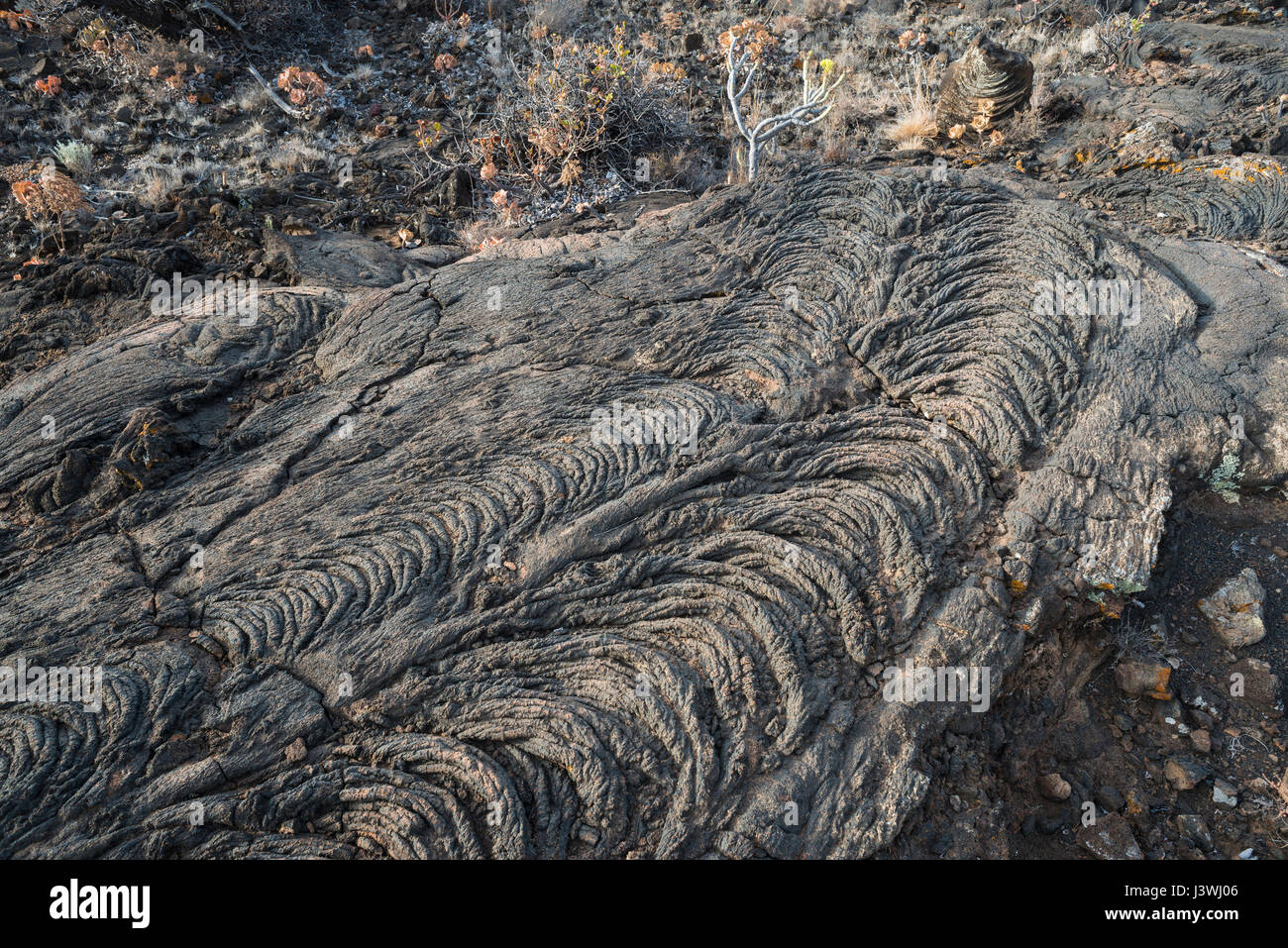 Detail of basaltic lava flows with pahoehoe or ropy textures at Tacoron ...