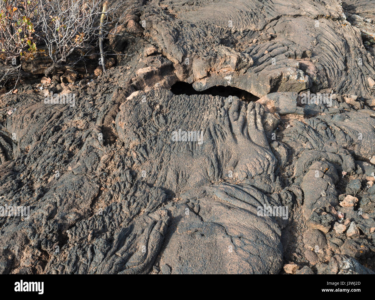 Detail of basaltic lava flows with pahoehoe or ropy textures at Tacoron ...