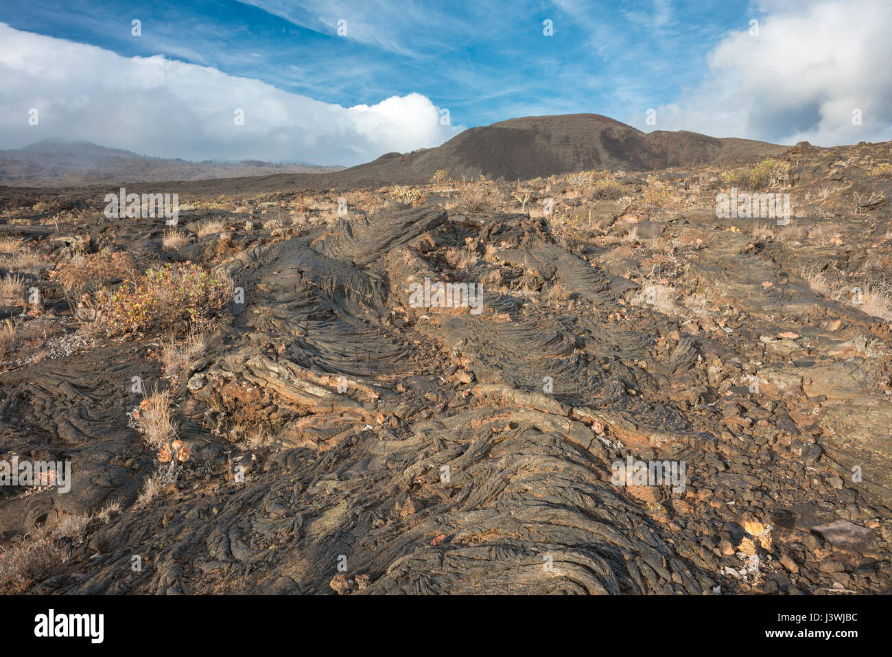 Pahoehoe or ropy basaltic lava flows at Tacoron on the south coast of ...