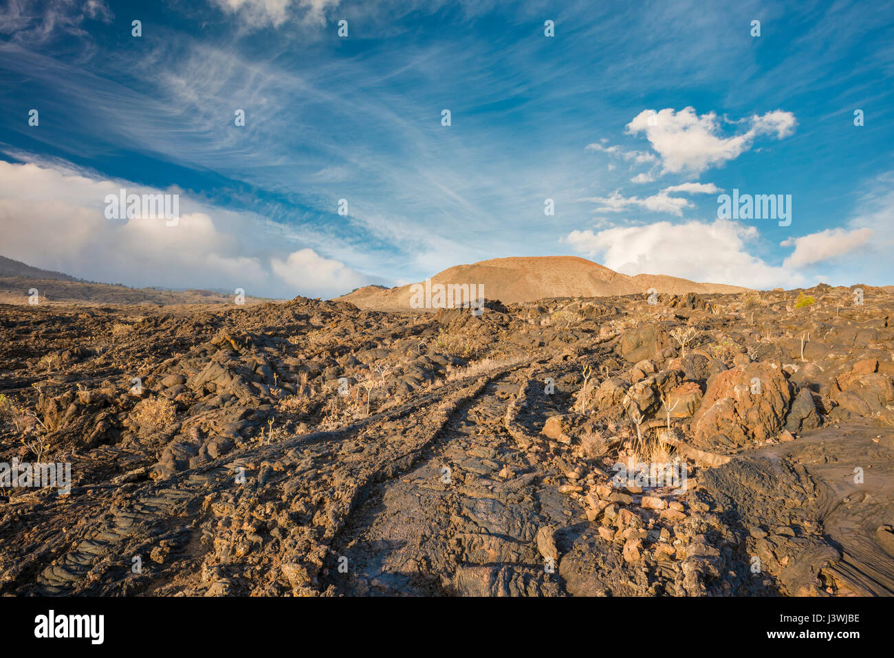 Ropy texture hi-res stock photography and images - Alamy