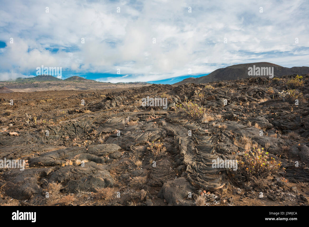 Ropy pahoehoe lava flow on hi-res stock photography and images - Alamy
