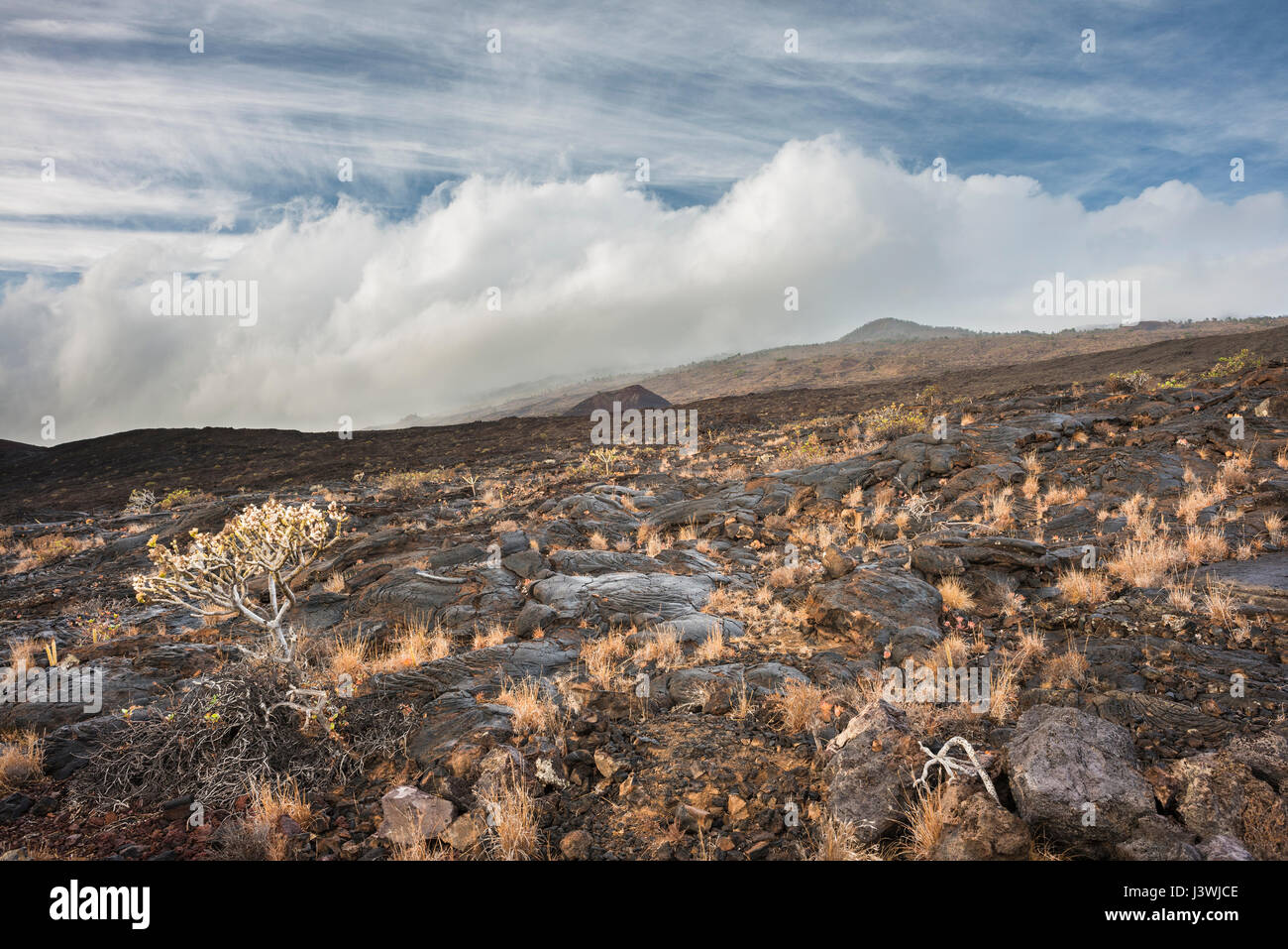 Ropy pahoehoe hi-res stock photography and images - Alamy