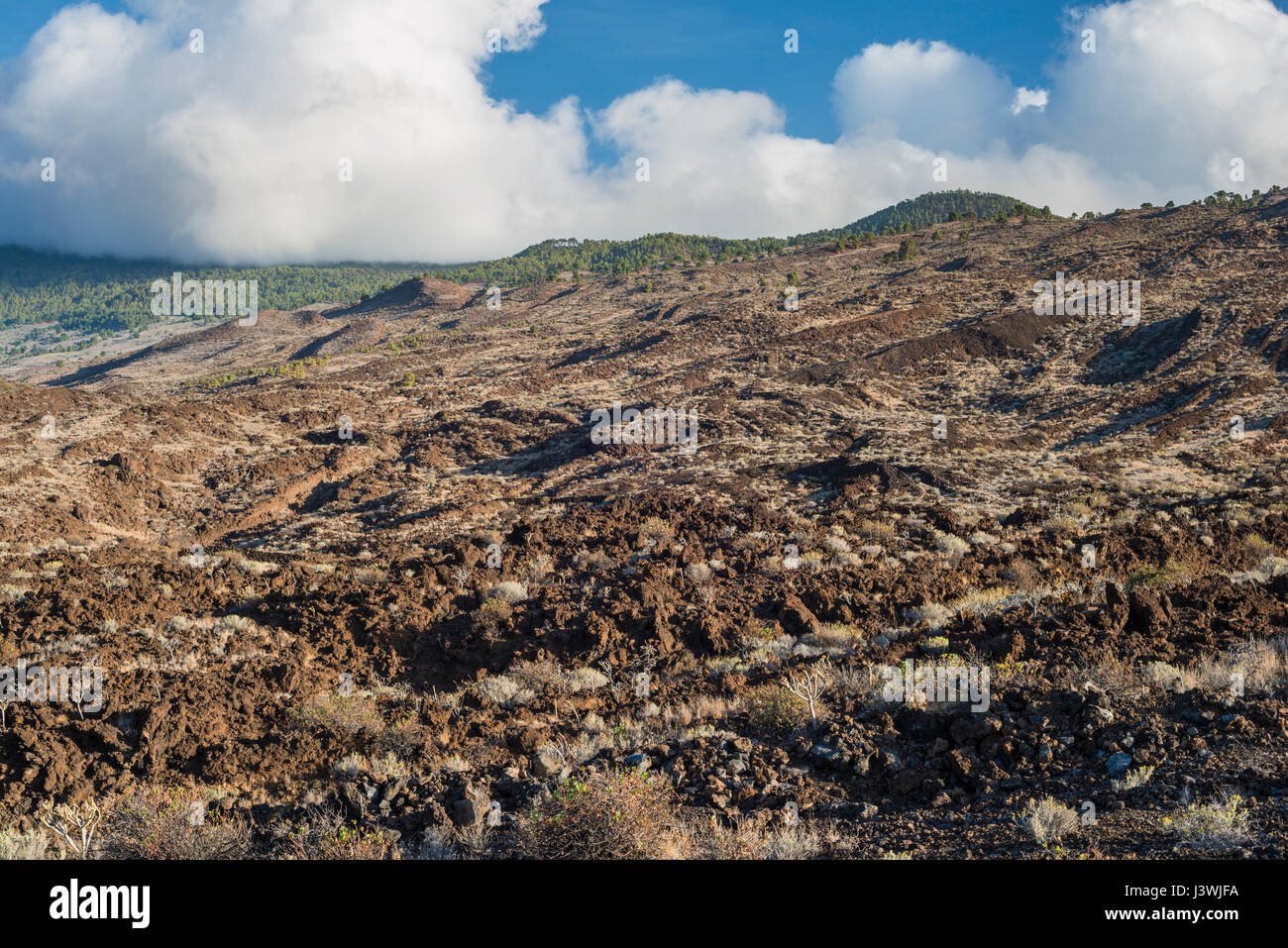 Ropy Texture High Resolution Stock Photography and Images - Alamy