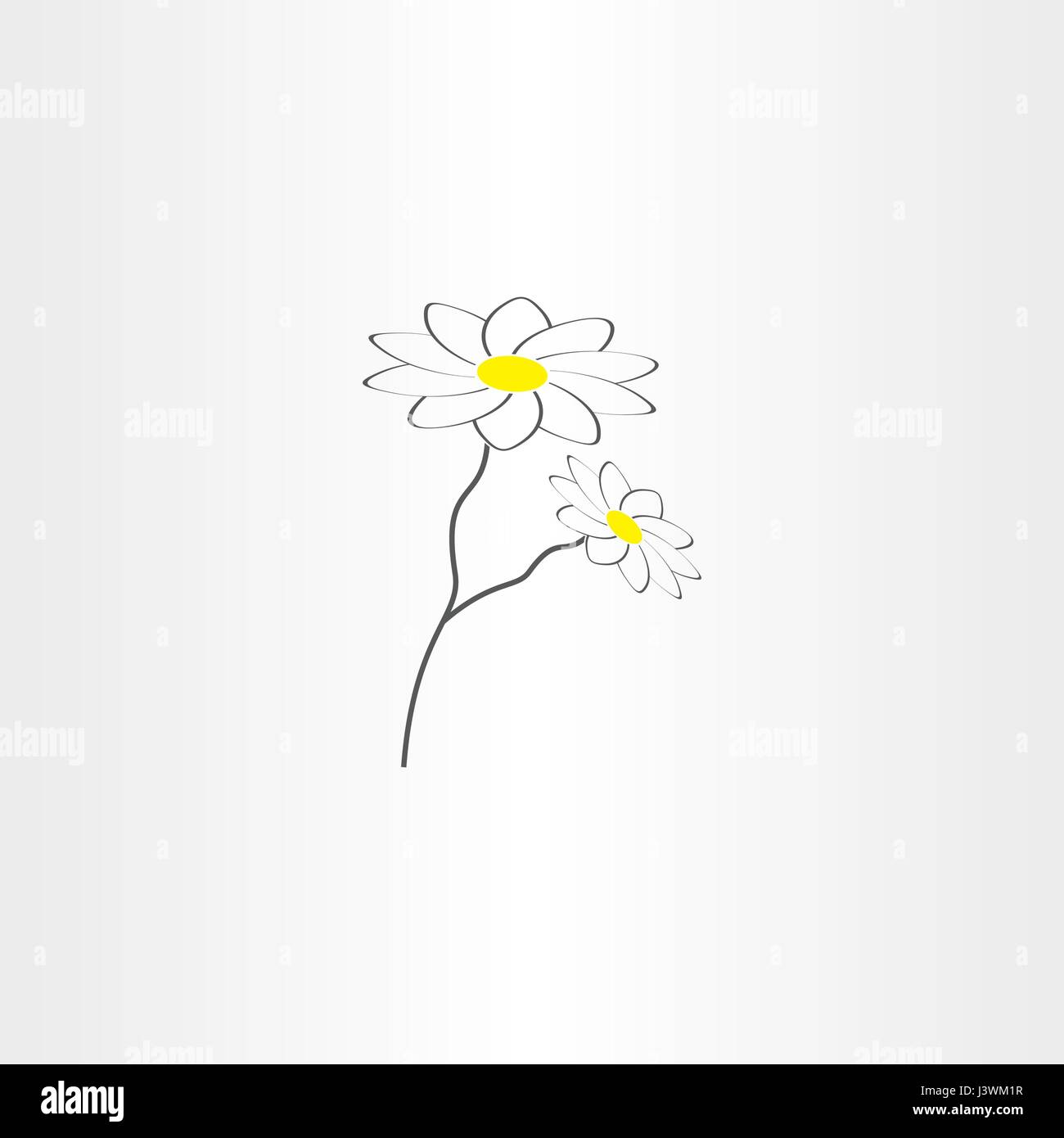 Chamomile icon hi-res stock photography and images - Alamy