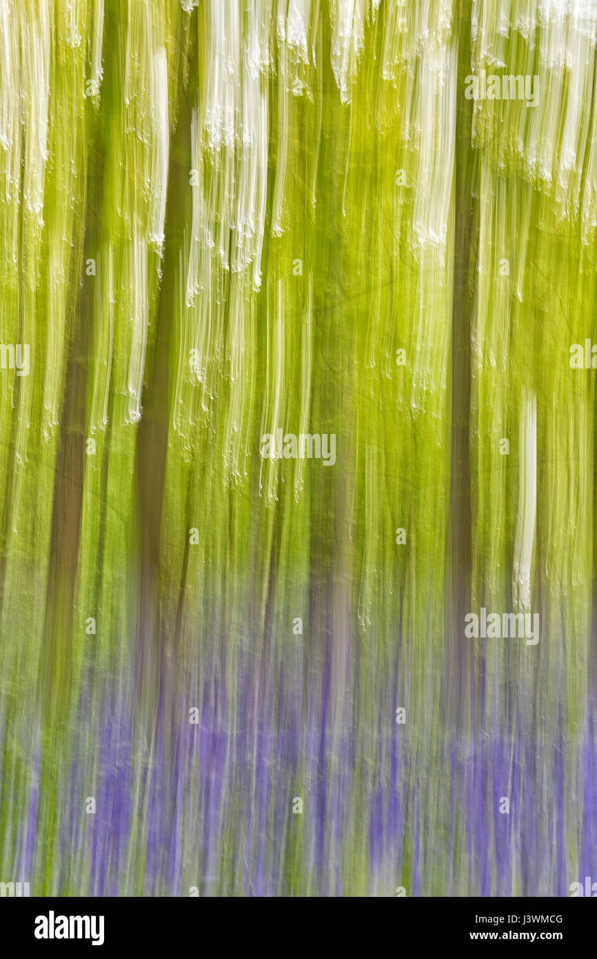 Abstract forest background in green and purple tones, vertical lines ...