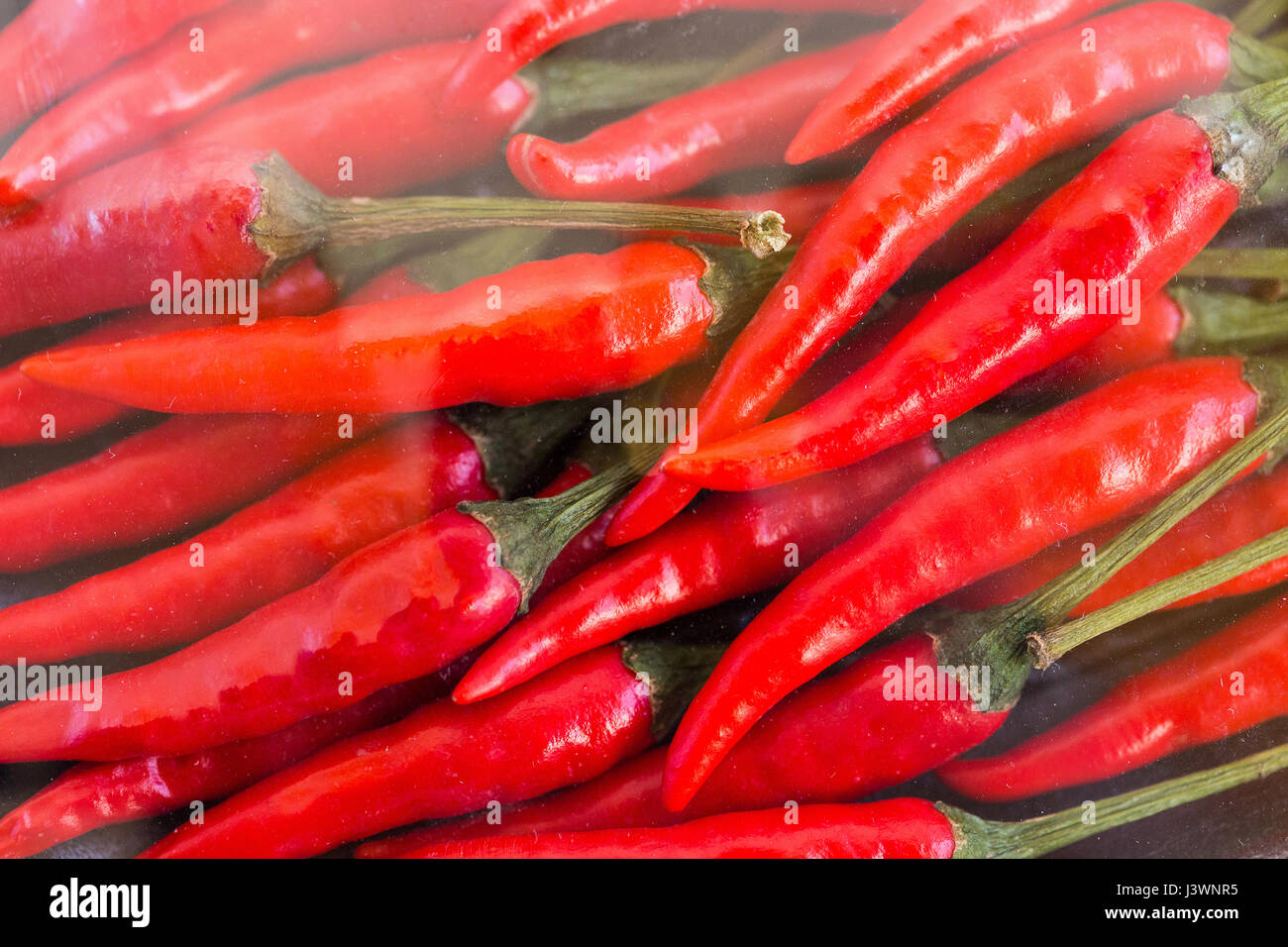 red hot chili peppers, popular spices concept - close-up on store ...