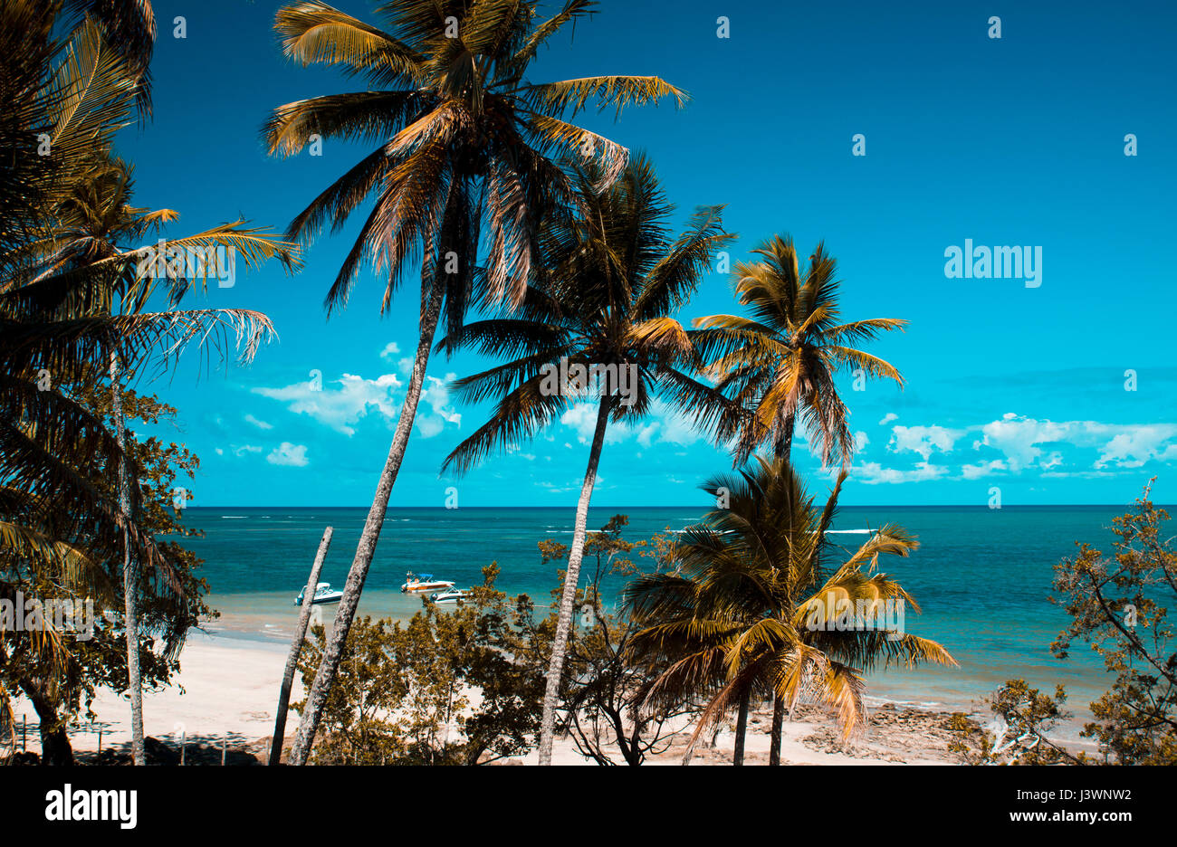 beautiful exotic beach of the tropical island of Boipeba, Brazil Stock ...