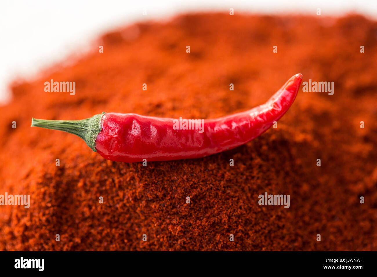 chili red hot pepper, concept of popular spice - closeup on delicious ...