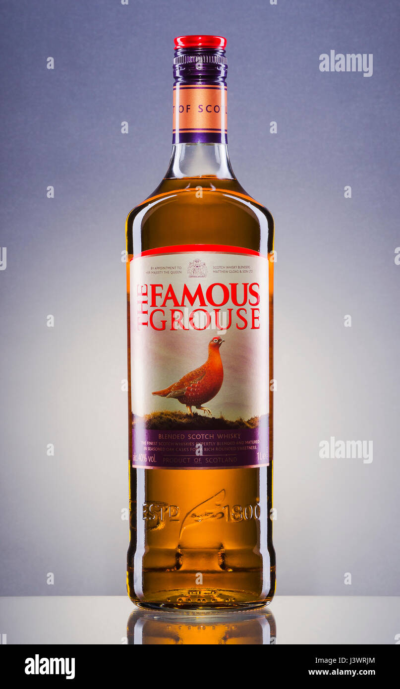 The Famous Grouse blended whisky on gradient background Stock Photo - Alamy