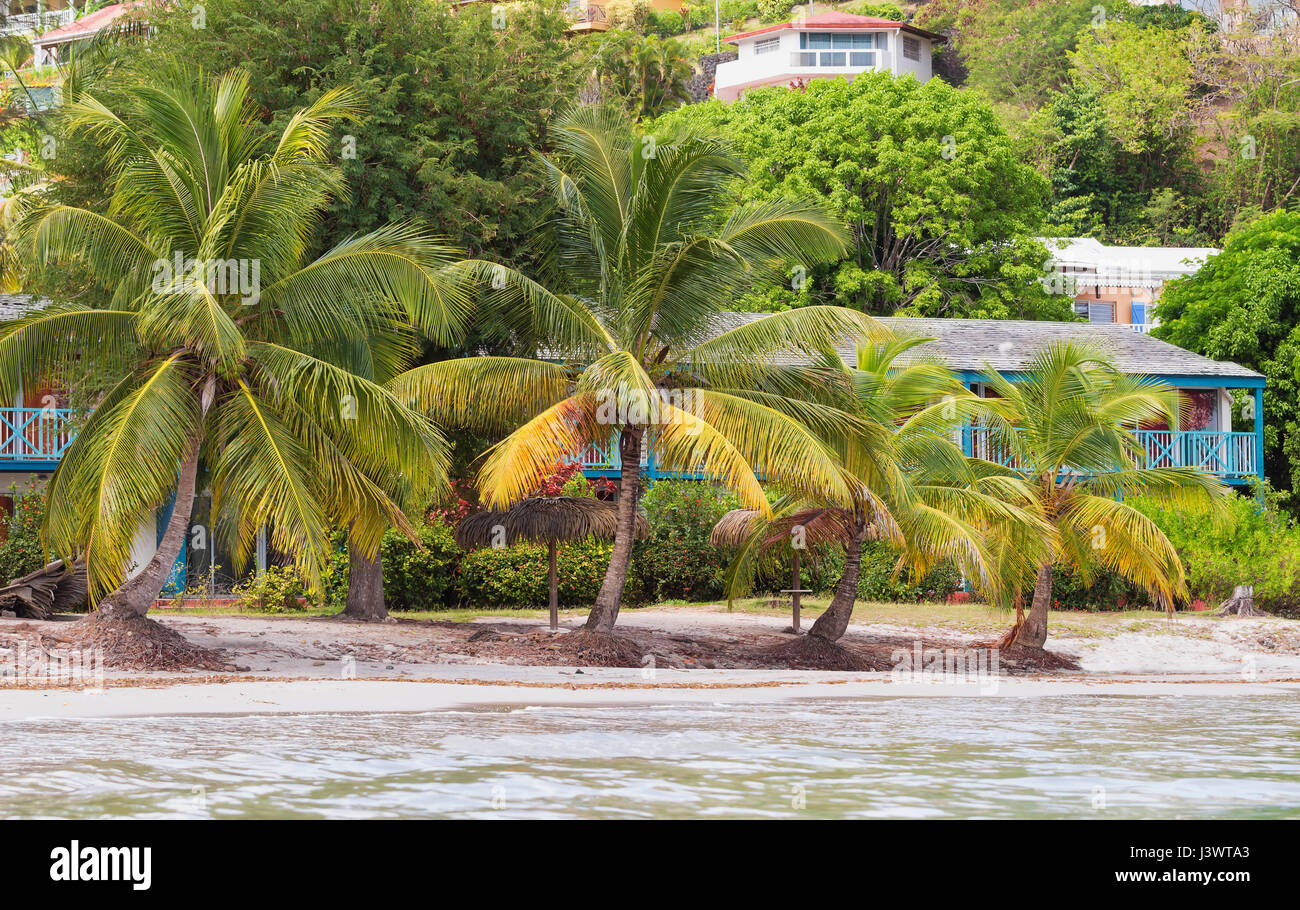 The Caribbean beach , Martinique island, French West Indies Stock Photo ...