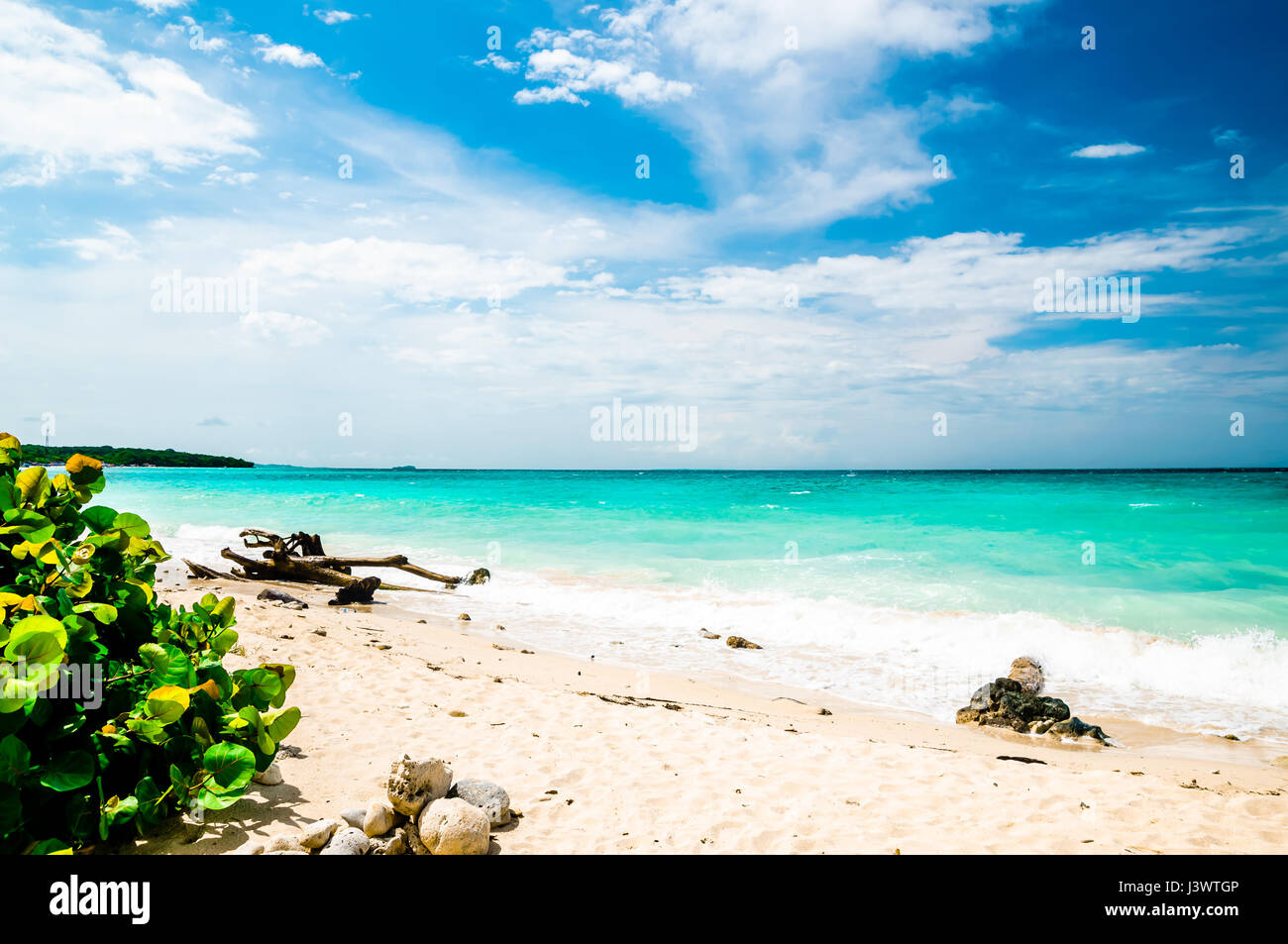 Playa bin hi-res stock photography and images - Alamy