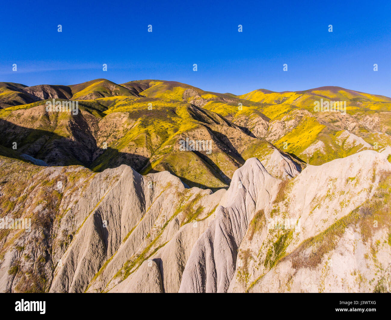 aerial of wildflowers in the Temblor Range, Carrizo Plains National ...