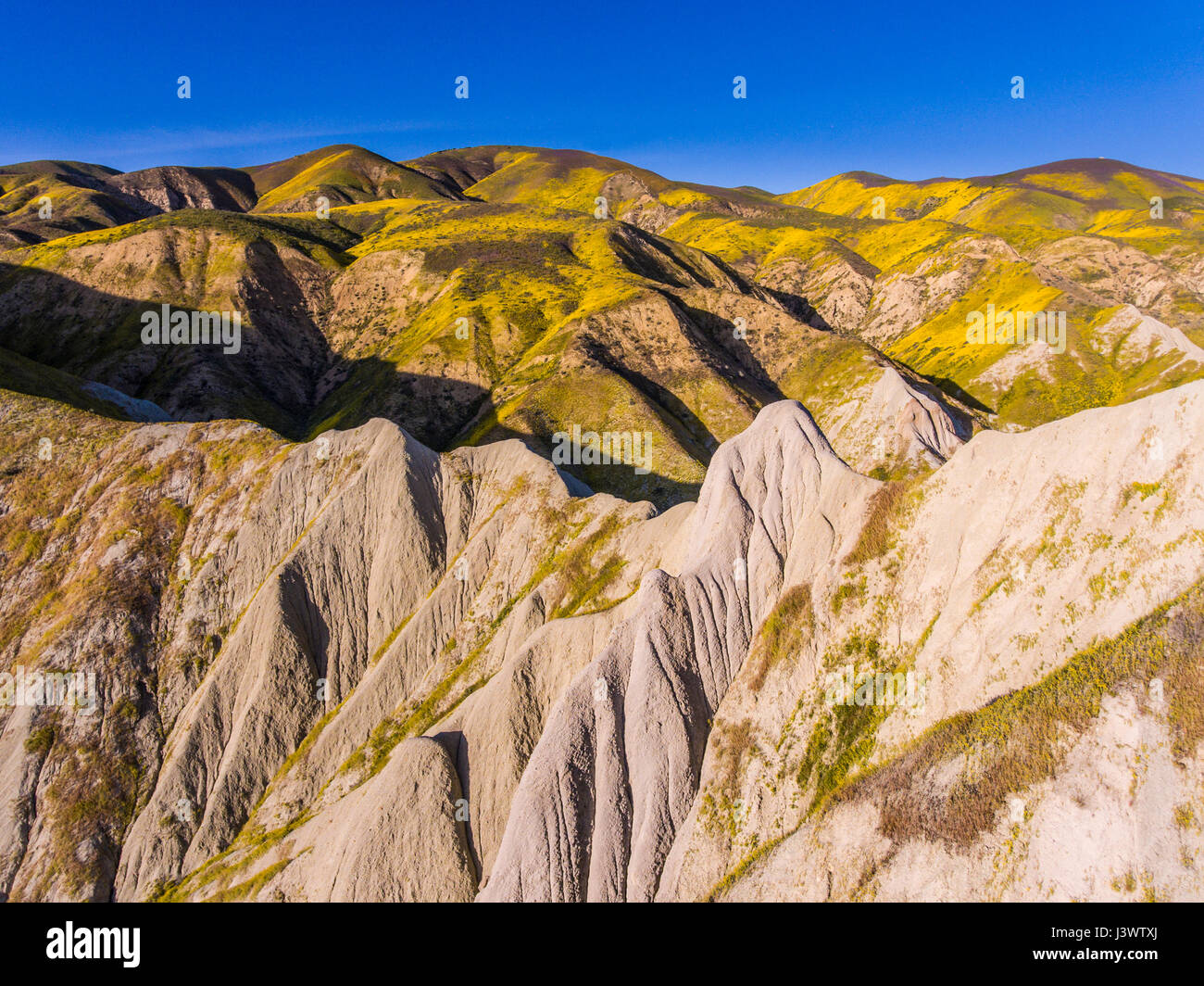 aerial of wildflowers in the Temblor Range, Carrizo Plains National ...