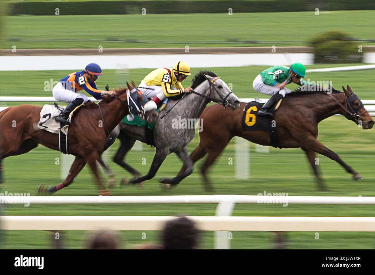 Belmont Park Racetrack New York Stock Photo - Alamy