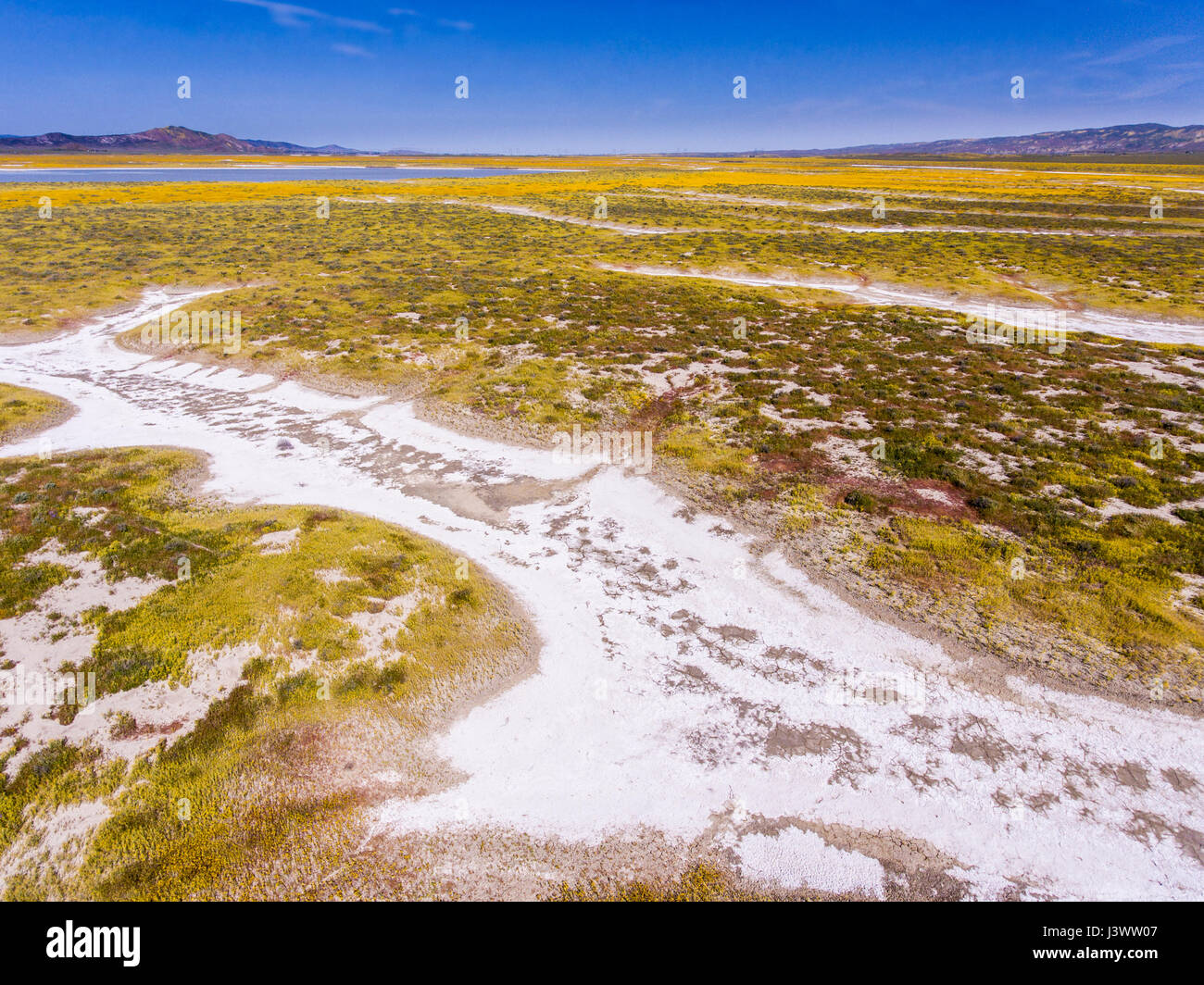 aerial of watershed of Soda Lake and wildflowers, Carrizo Plains ...