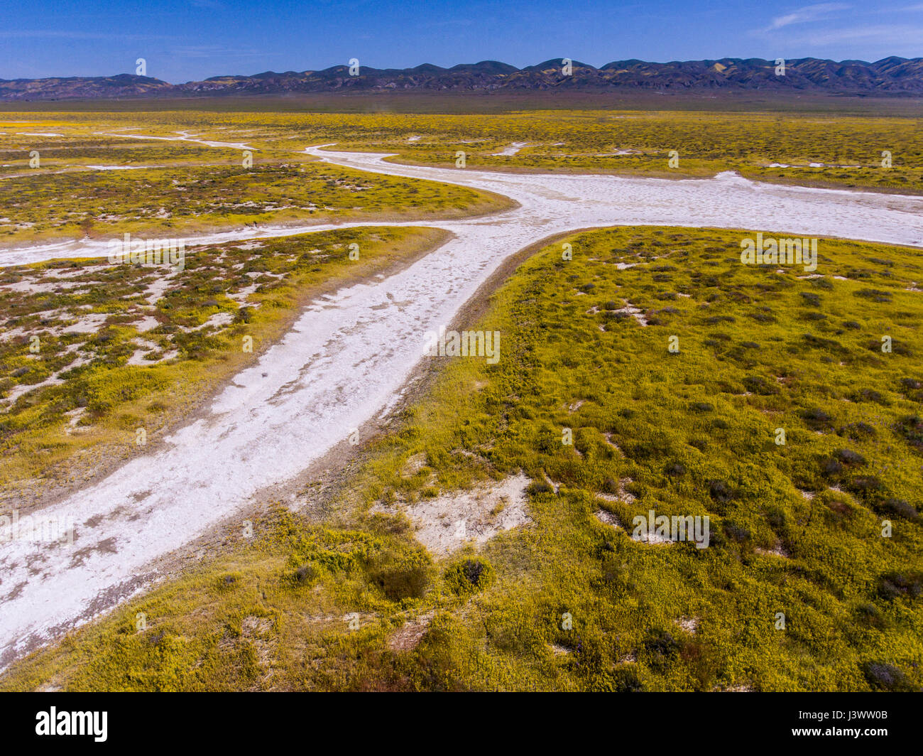 aerial of watershed of Soda Lake and wildflowers, Carrizo Plains ...