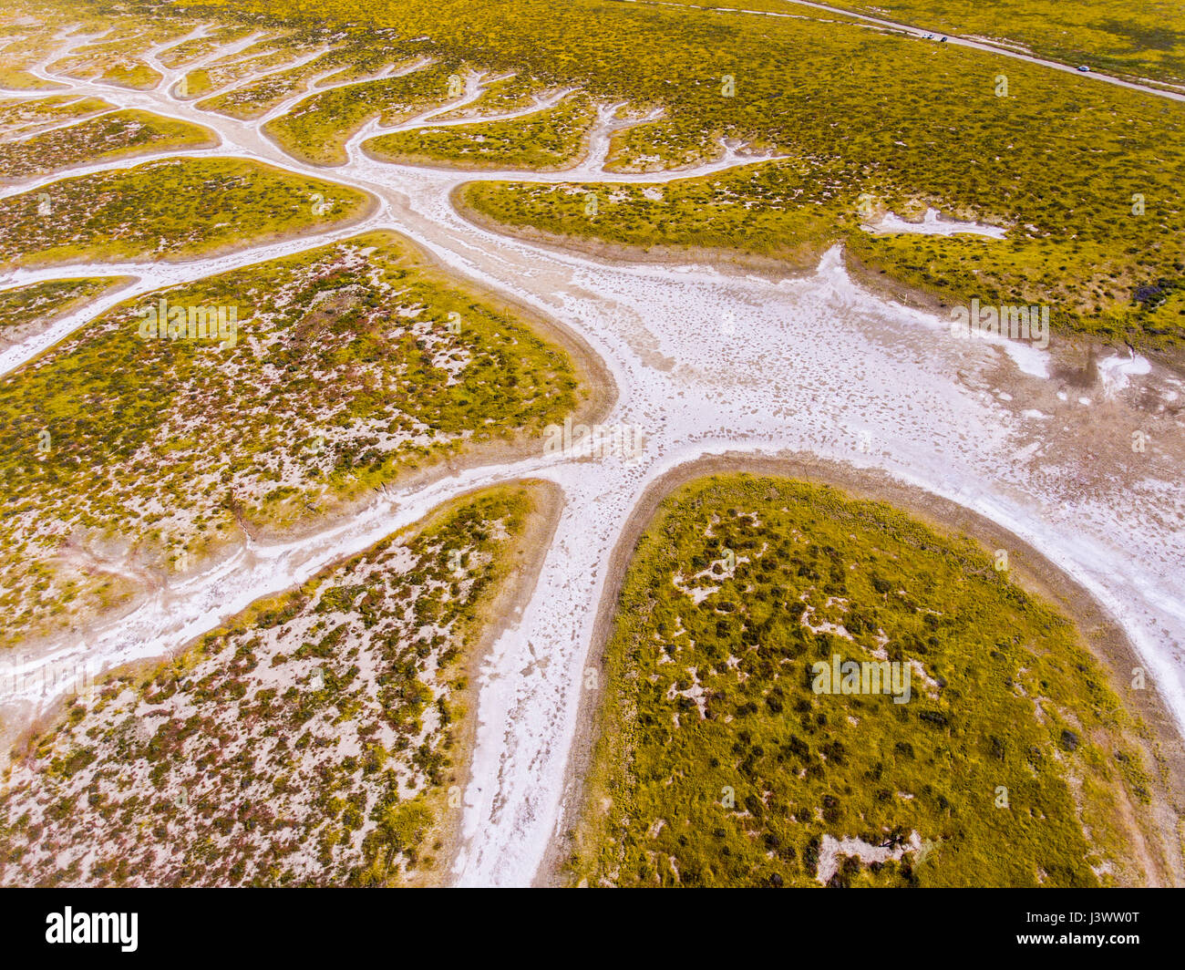 aerial of watershed of Soda Lake and wildflowers, Carrizo Plains ...