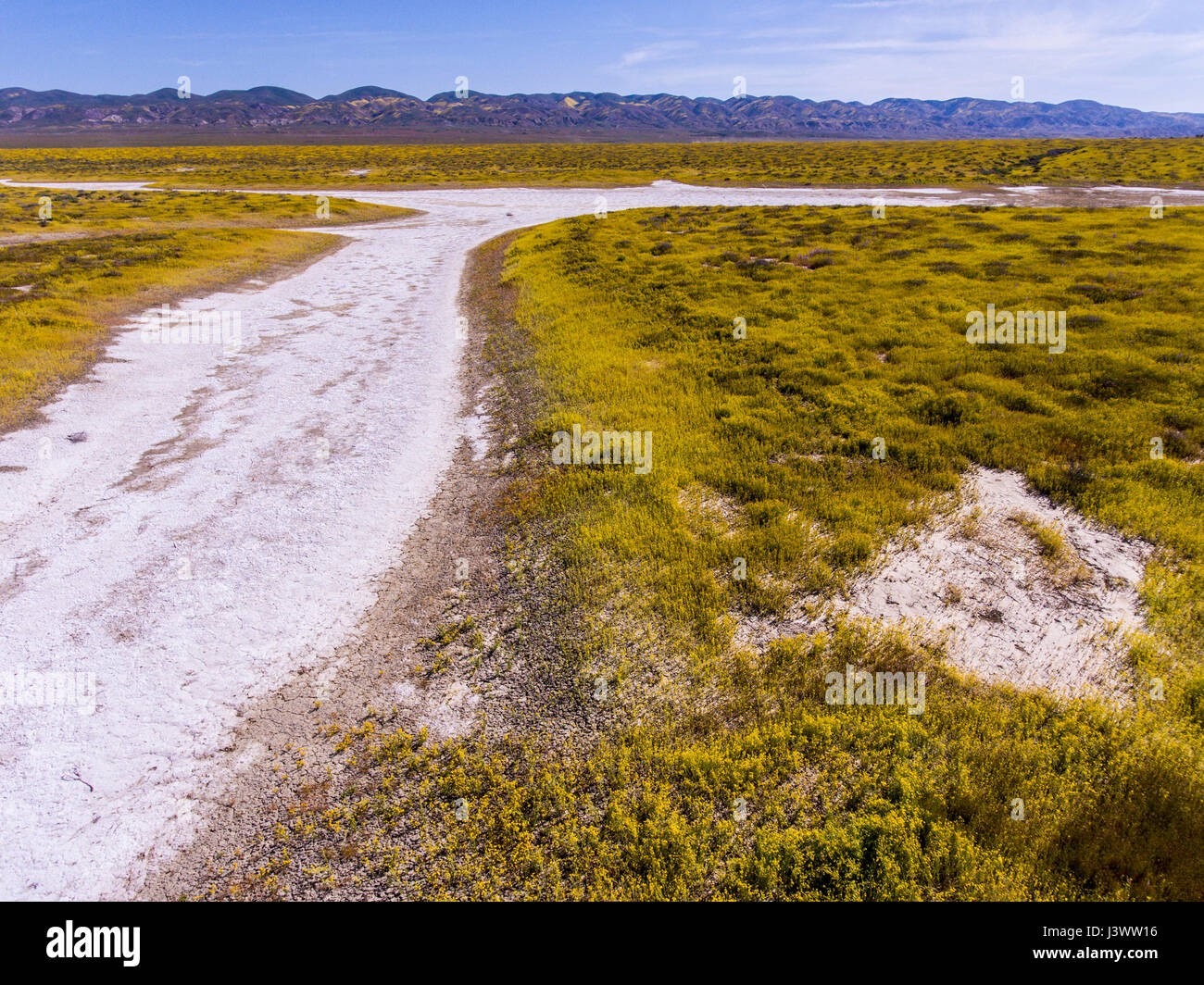 aerial of watershed of Soda Lake and wildflowers, Carrizo Plains ...