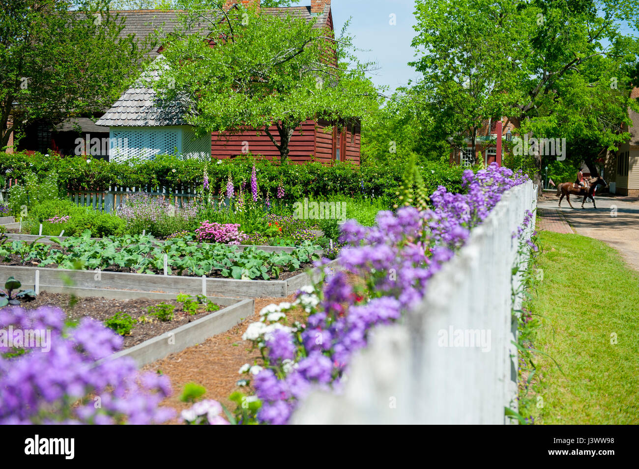 USA Virginia VA Colonial Williamsburg Spring gardens Stock Photo - Alamy