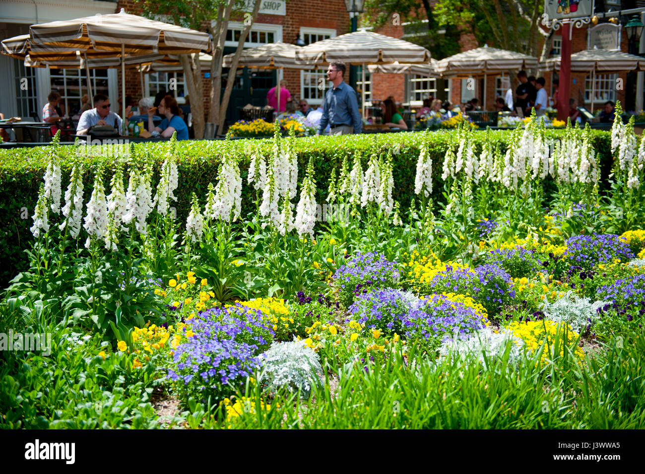 USA Virginia VA Colonial Williamsburg Merchants Square on Duke of ...