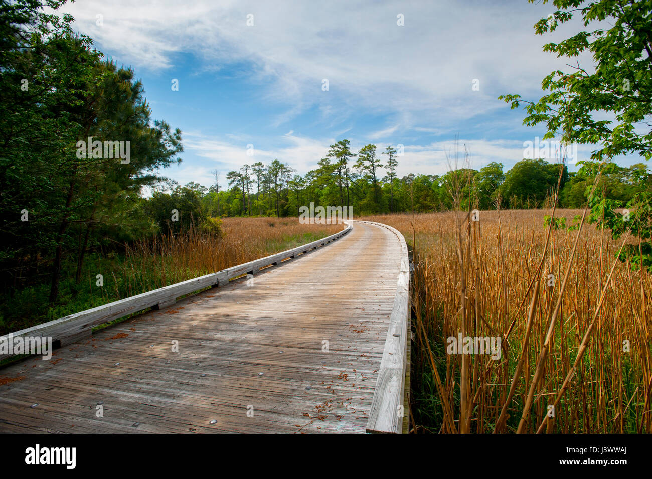 Jamestown Island High Resolution Stock Photography and Images - Alamy