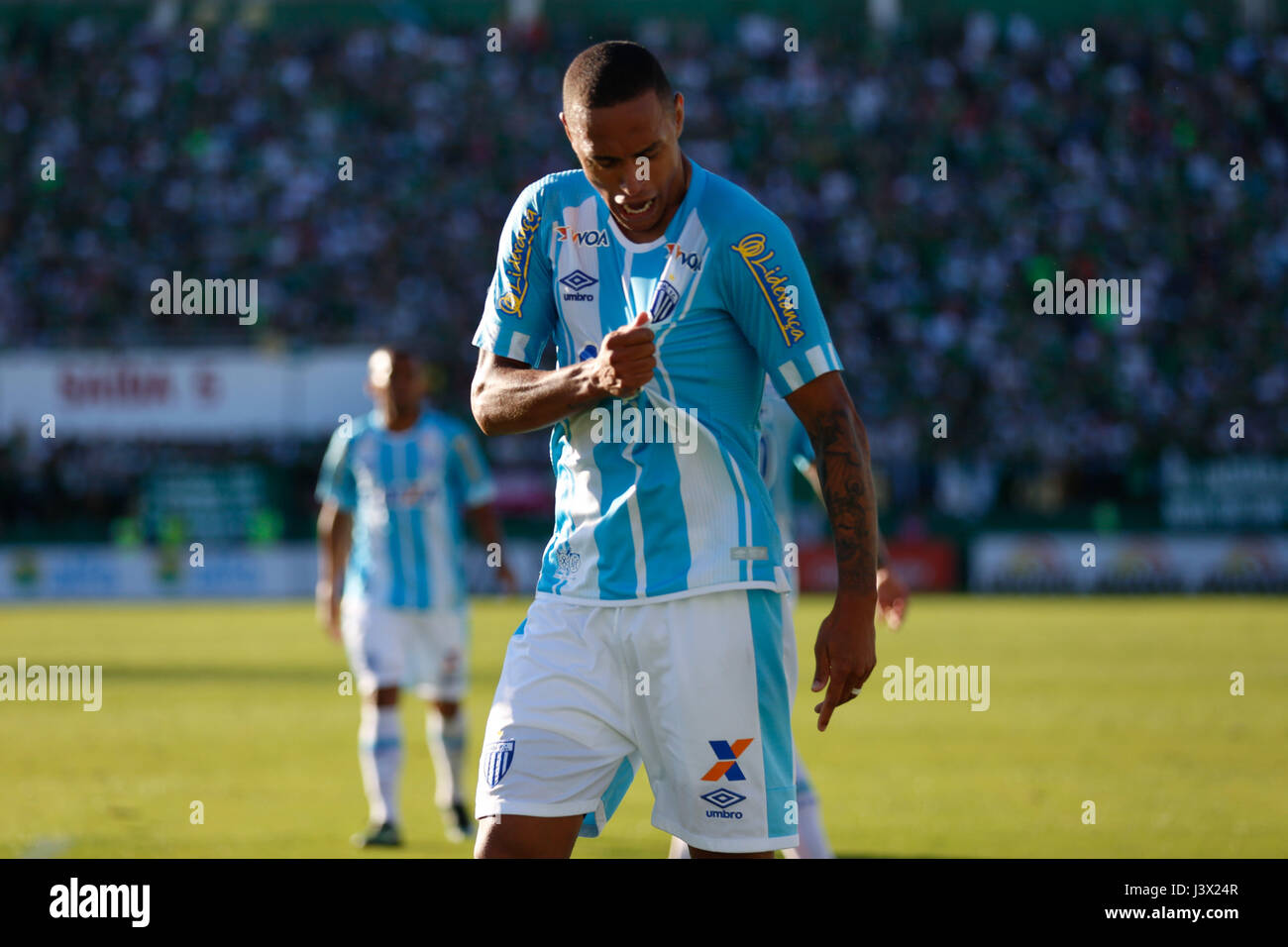 CHAPEC', SC - 07.05.2017: CHAPECOENSE X AVAÍ - Avai team players celebrate the goal scored by ...