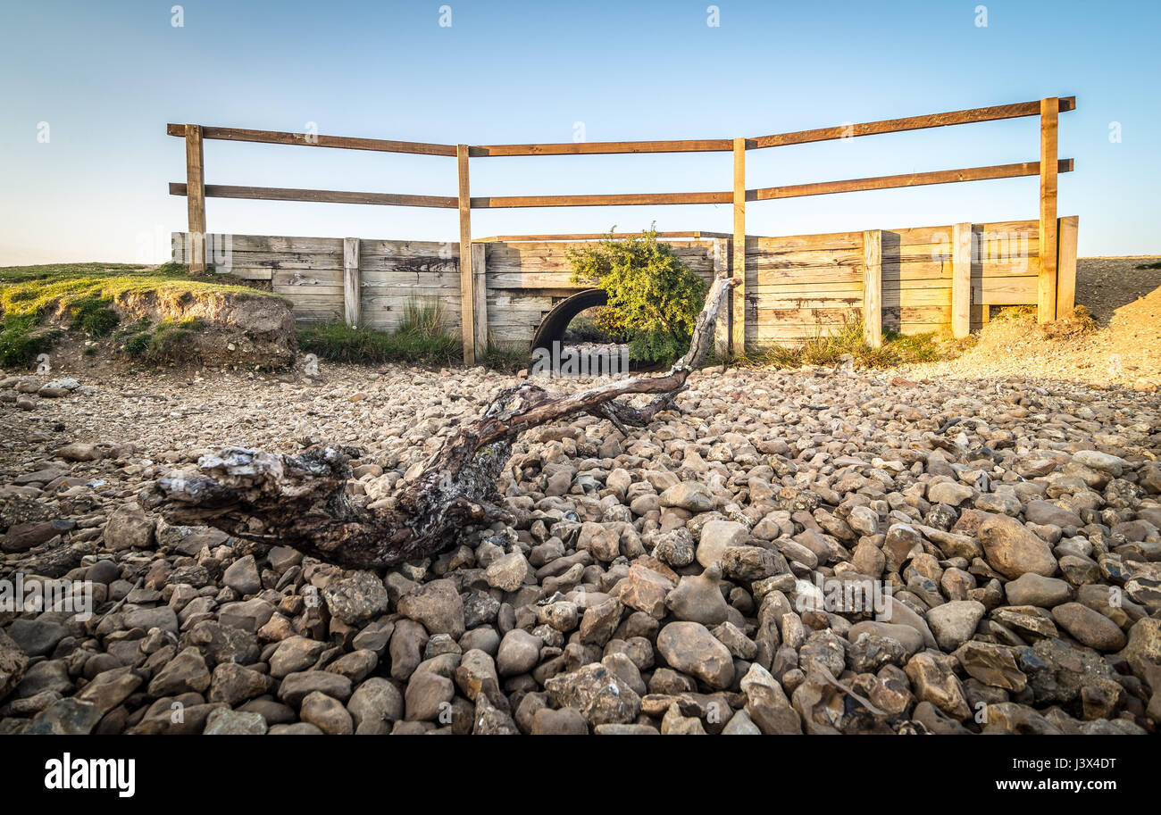 Dry river bed in the normally wet and muddy landscape of the New Forest ...