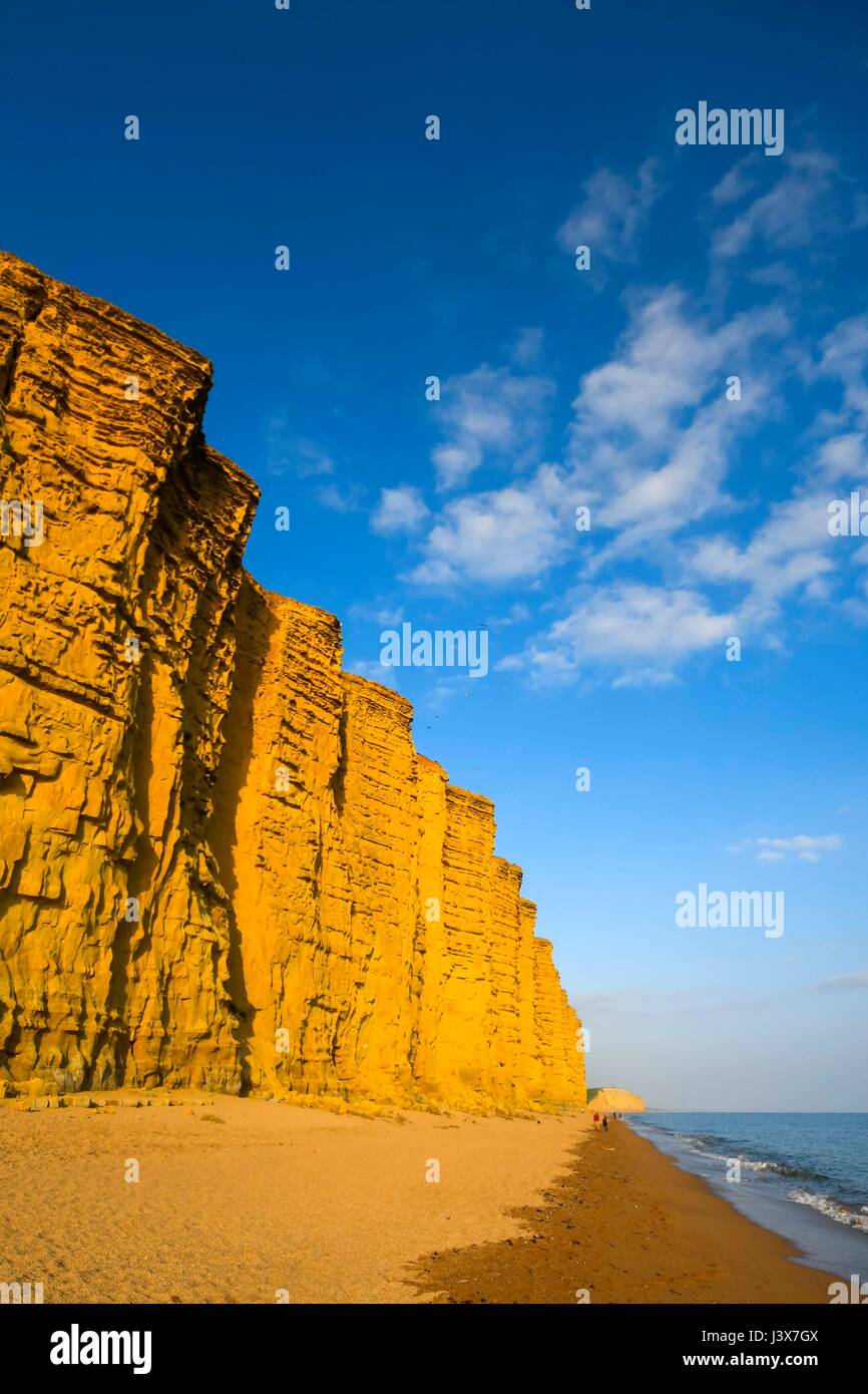 West Bay, Dorset, UK. 8th May, 2017. A view of East Cliff and Beach on an evening of blue skies ...