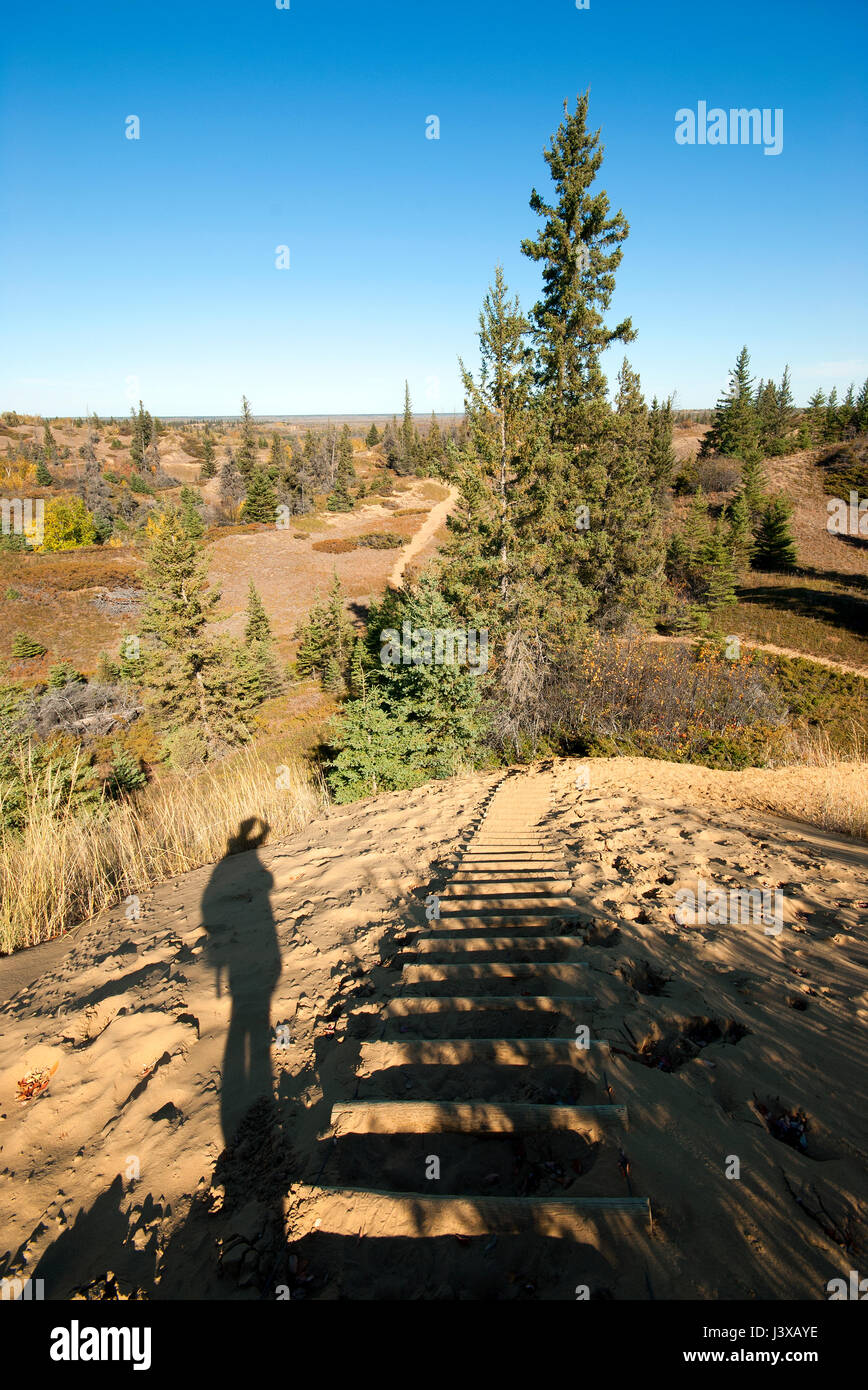 Spirit Sands trail, Spruce Woods Provincial Park, Manitoba, Canada ...
