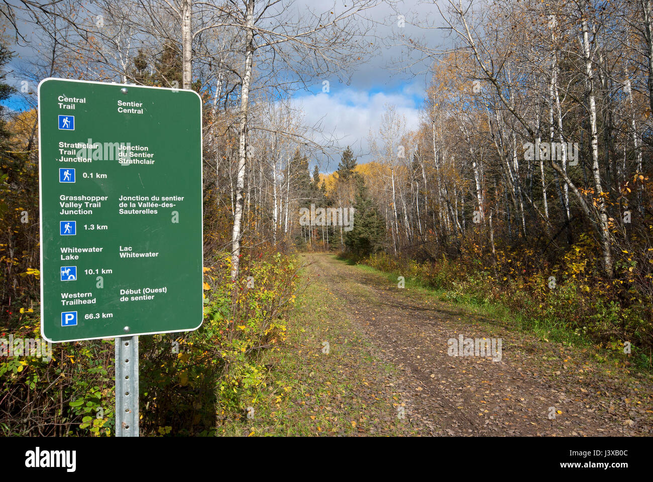 A trail in the Riding Mountain National Park, Manitoba, Canada Stock ...