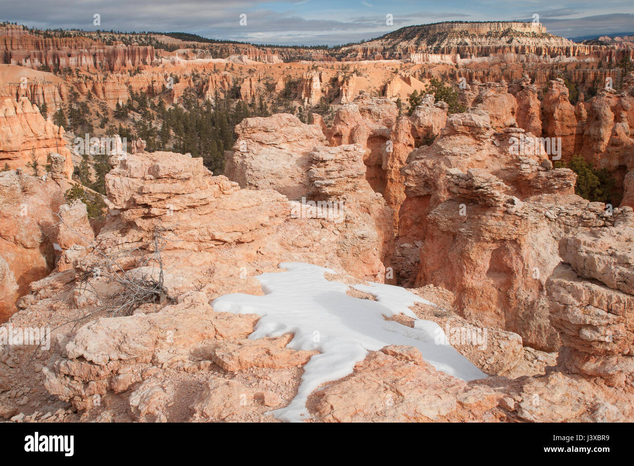 Hoodoos (irregularly-shaped earthen spires) in winter at Bryce Canyon ...