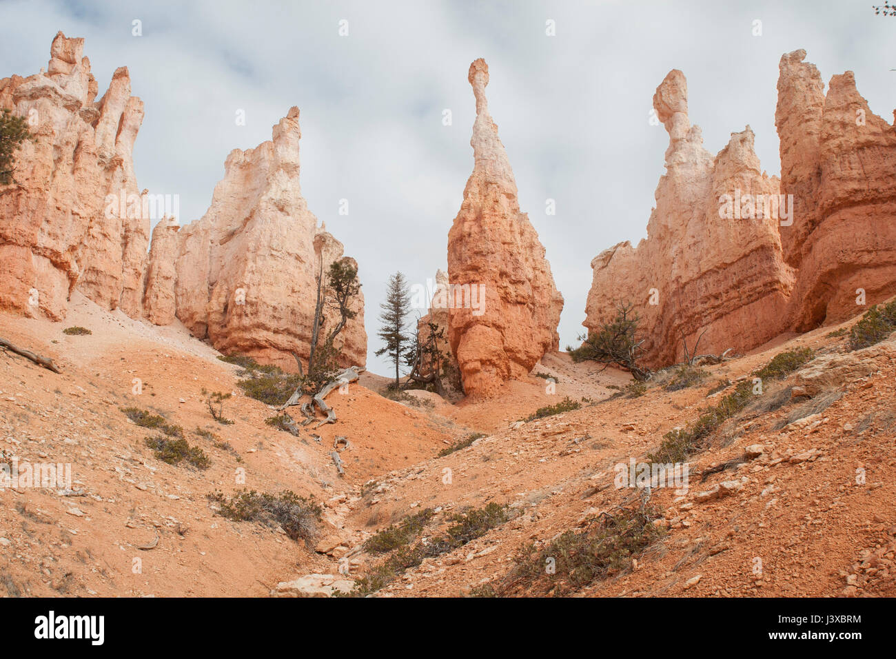 Hoodoos (irregularly-shaped earthen spires) in winter at Bryce Canyon ...