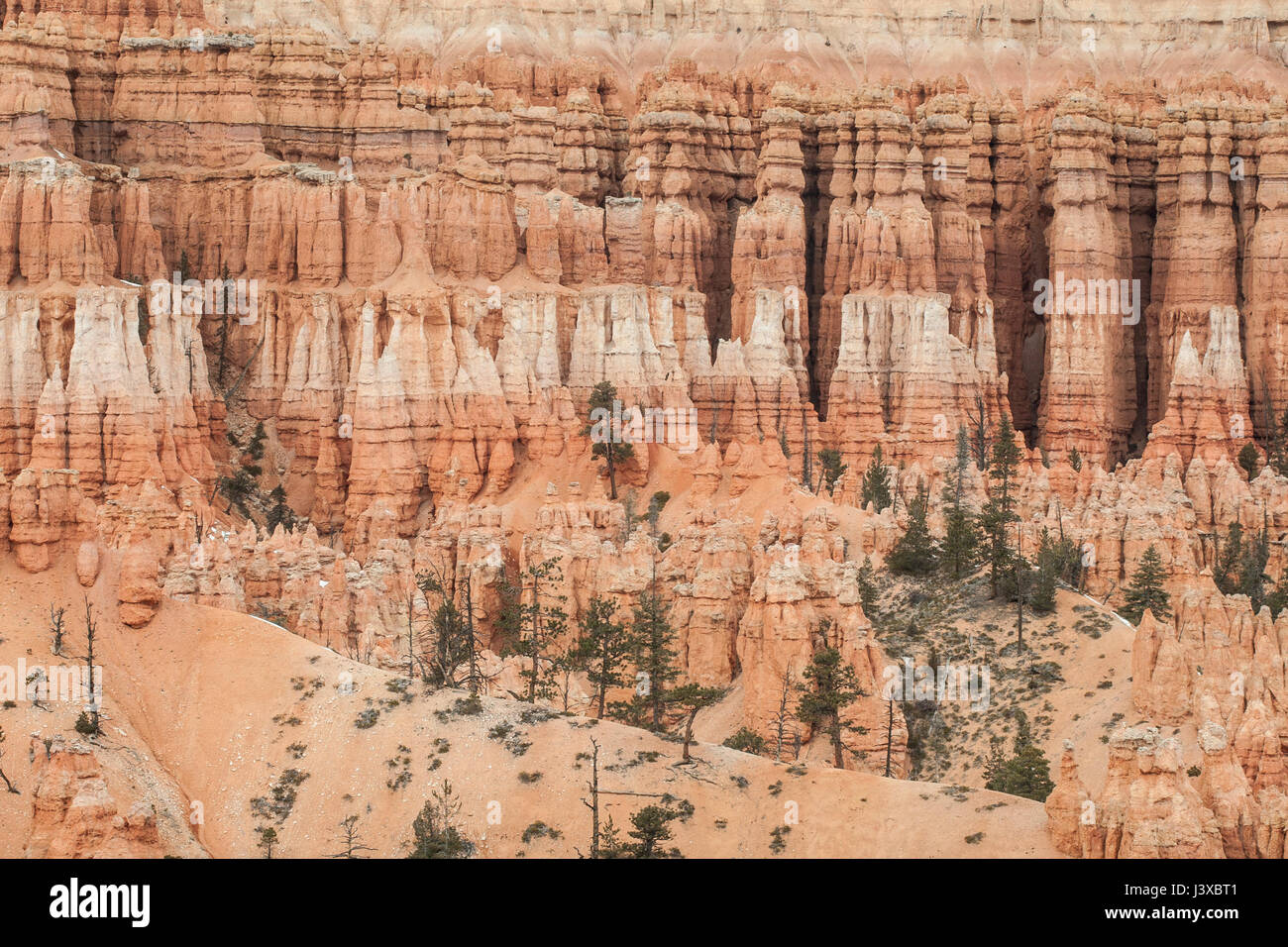Hoodoos (irregularly-shaped earthen spires) in winter at Bryce Canyon ...